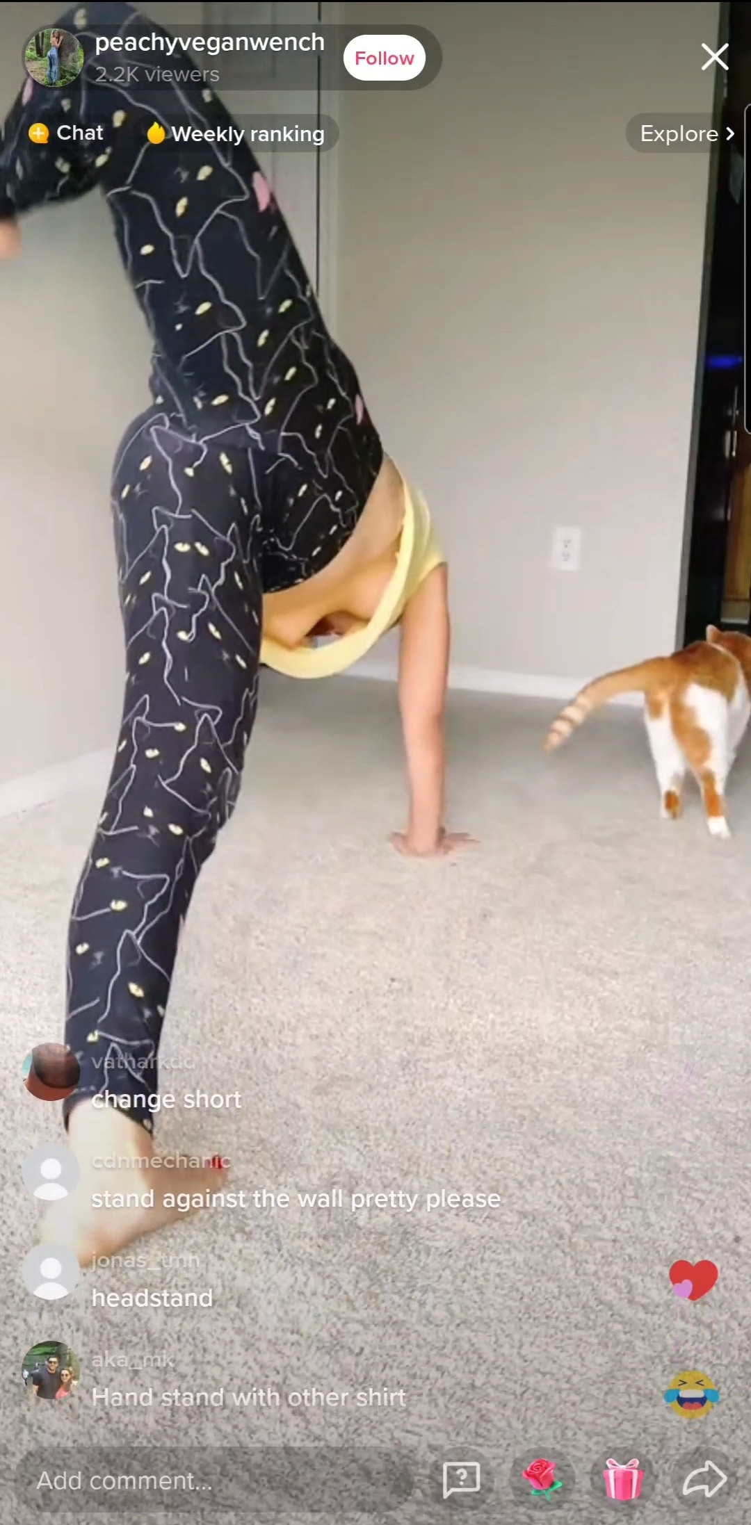 Caught before it ended (vid in comment) | Scrolller