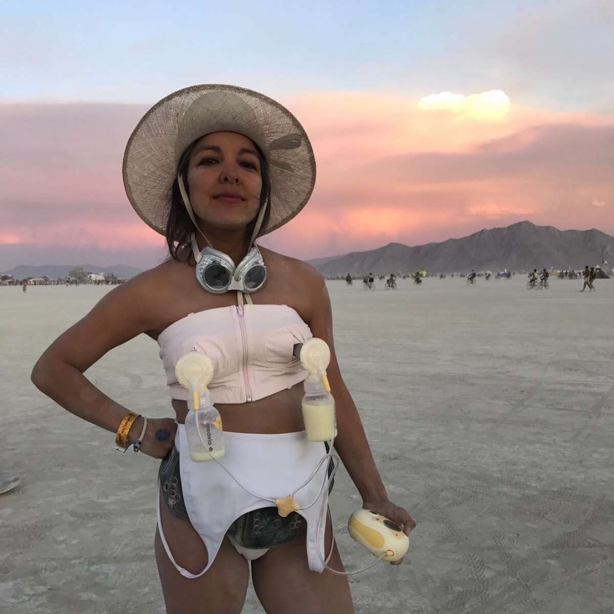 Livestock hooked up to the milking machine. | Scrolller