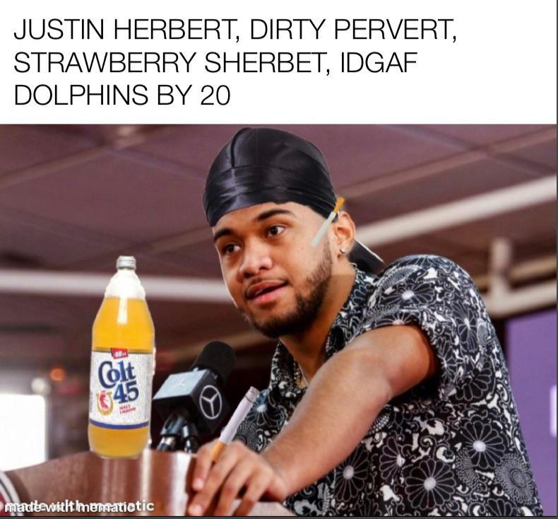 LETS GO DOLPHINS | Scrolller