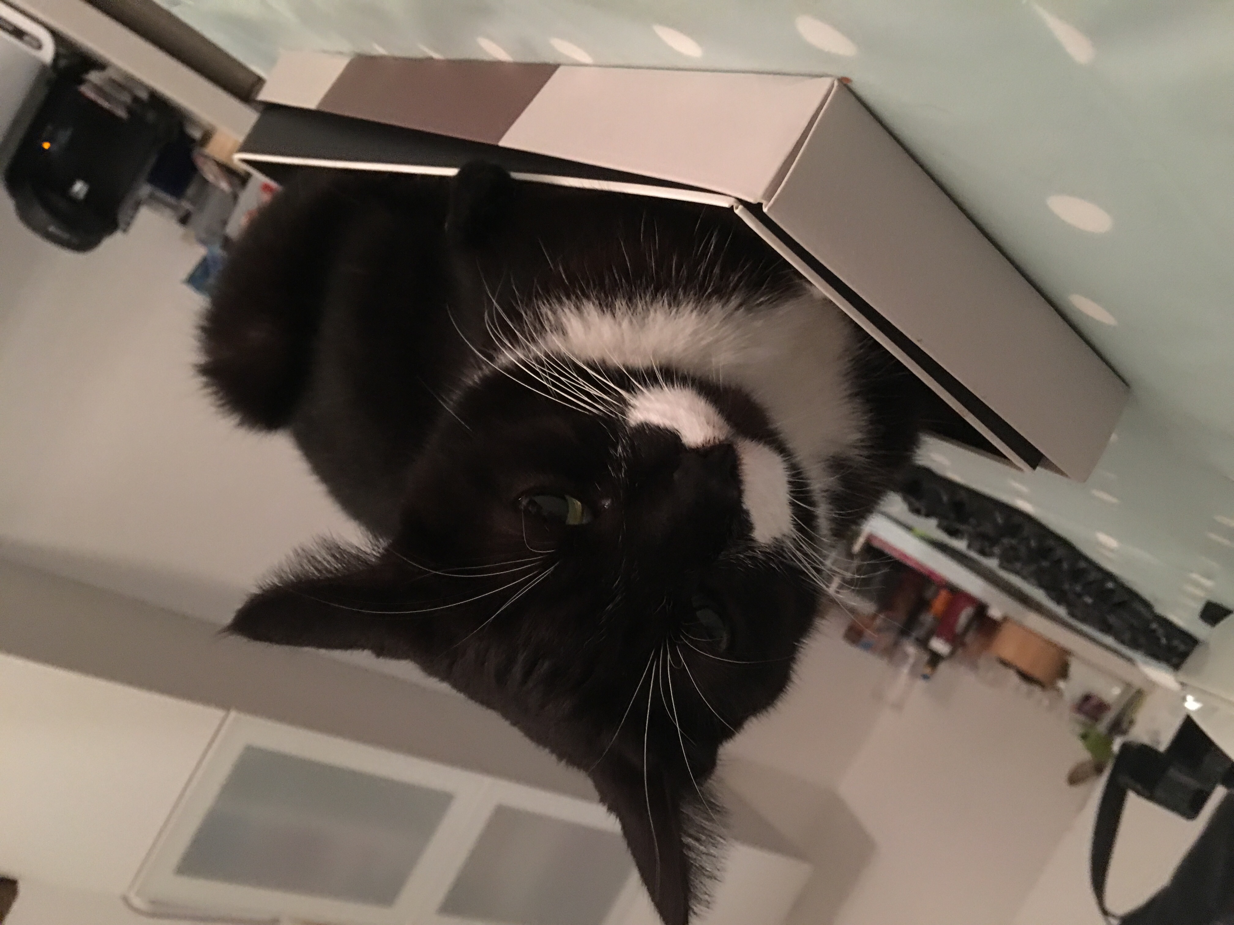 Loaf in a box | Scrolller