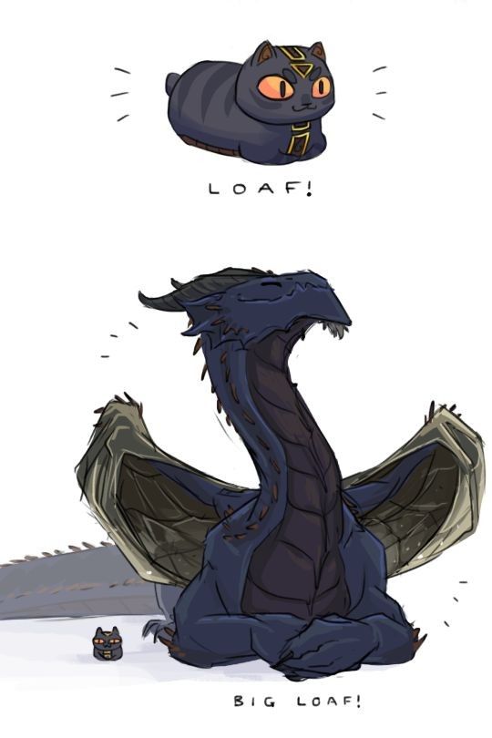 loaf_irl | Scrolller