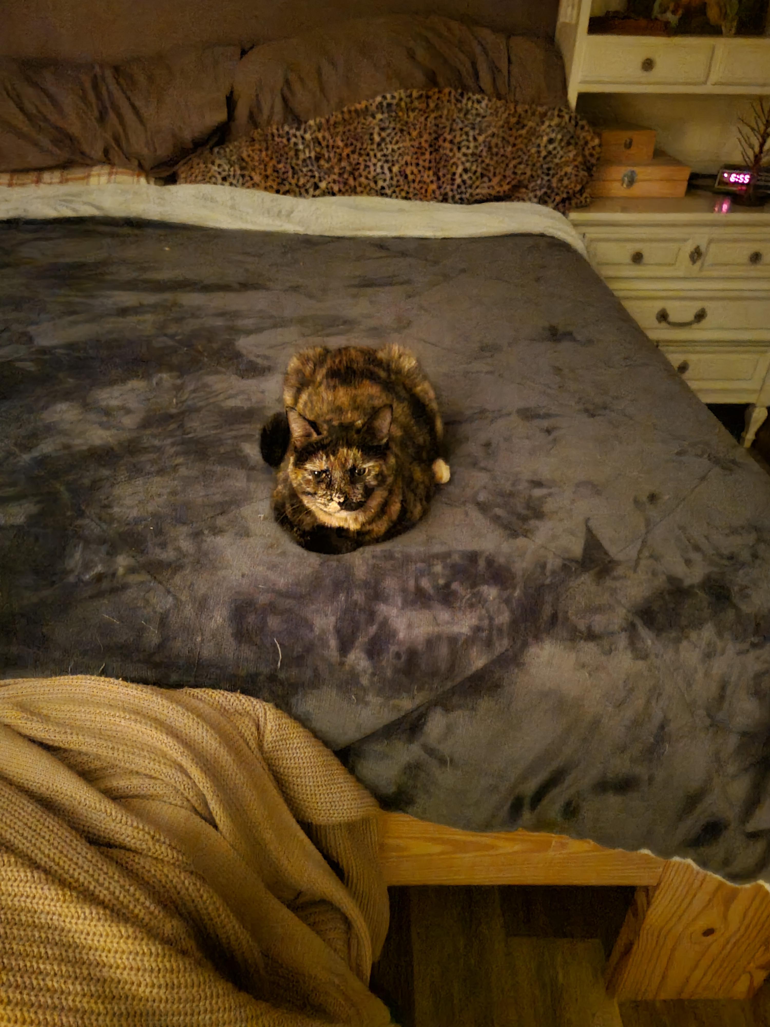 Loaf of bed | Scrolller