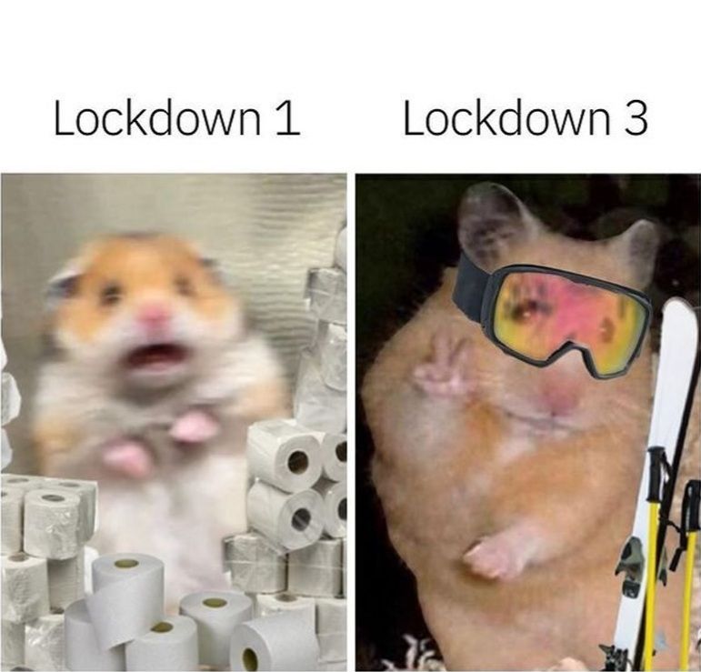 Lockdown 1 vs lockdown 3... | Scrolller