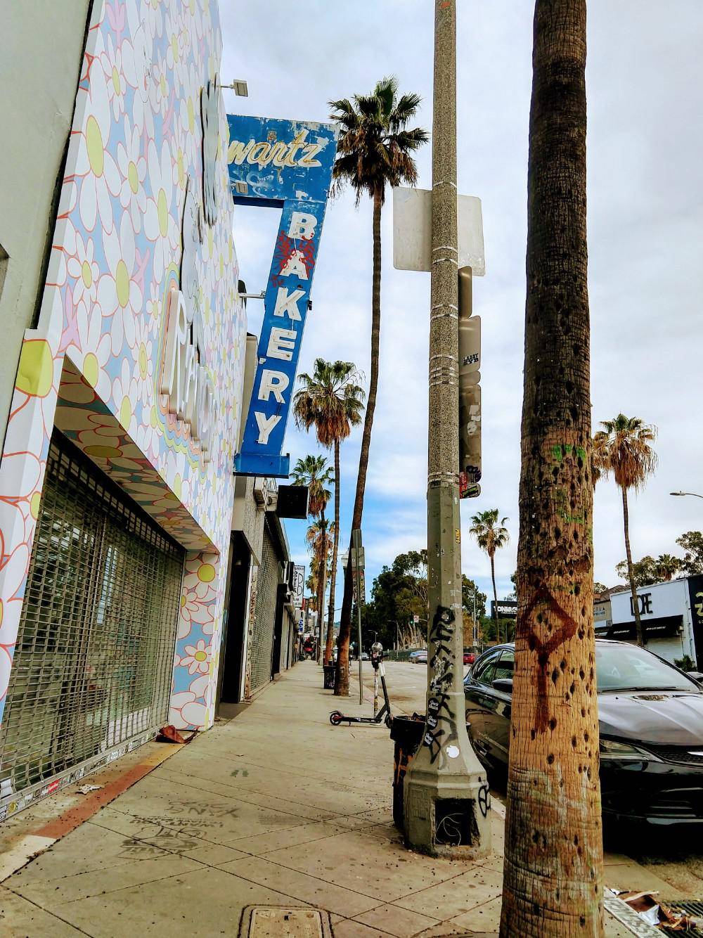 Lockdown in Los Angeles | Scrolller