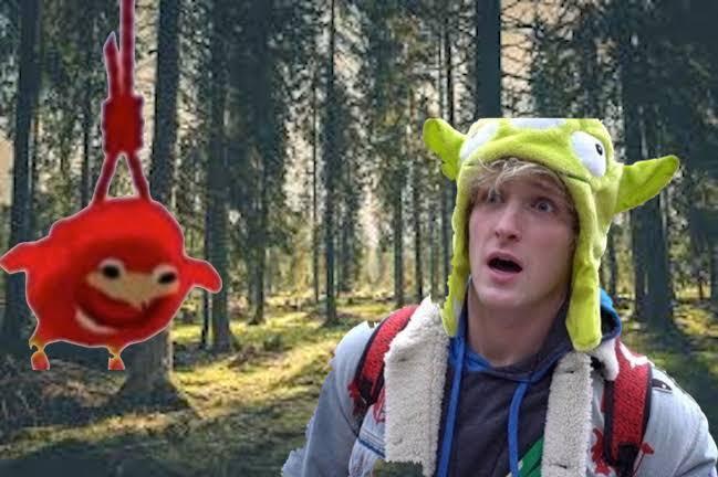 Logan Paul does not know de wae | Scrolller