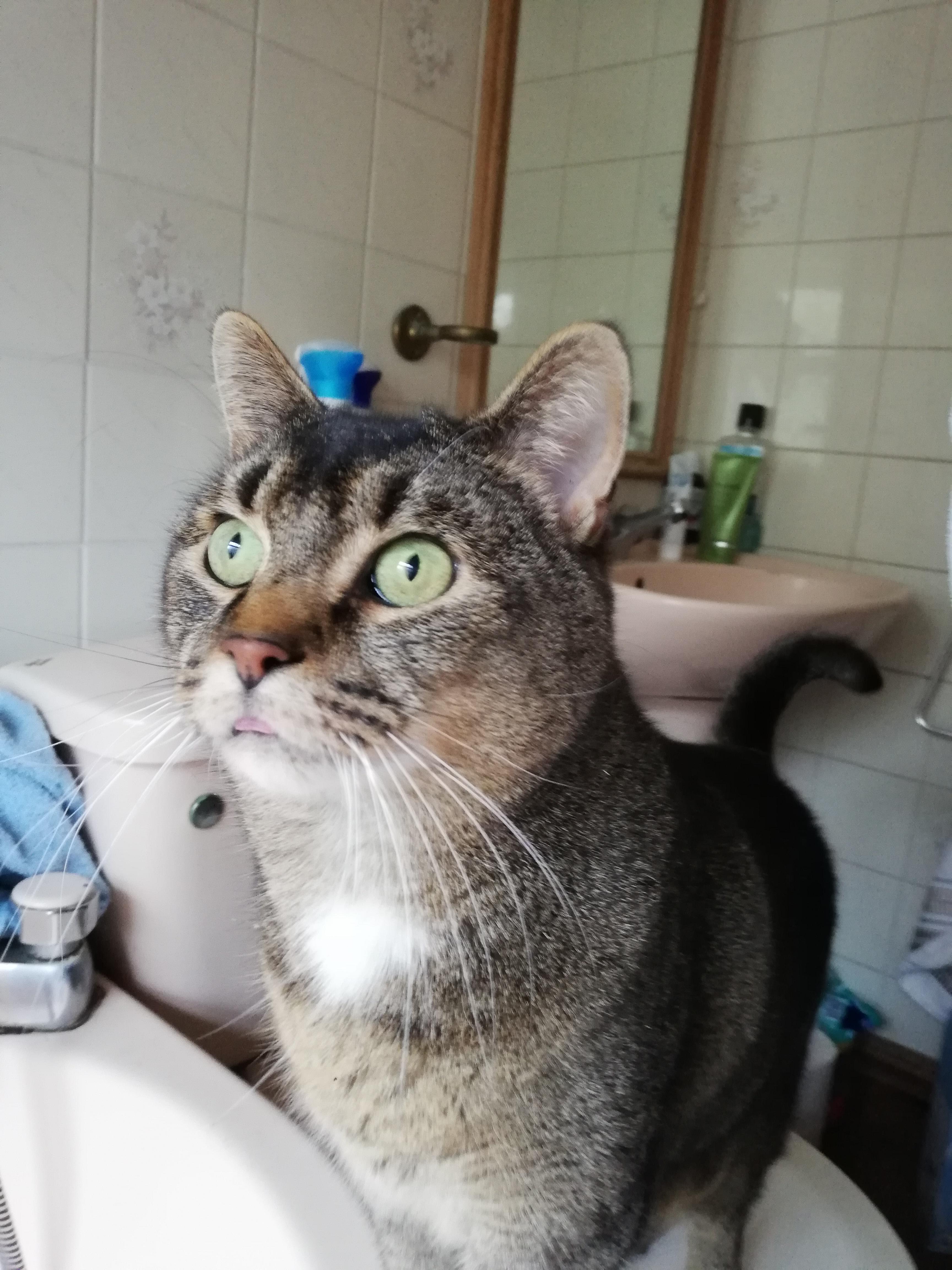 Loki mlep | Scrolller