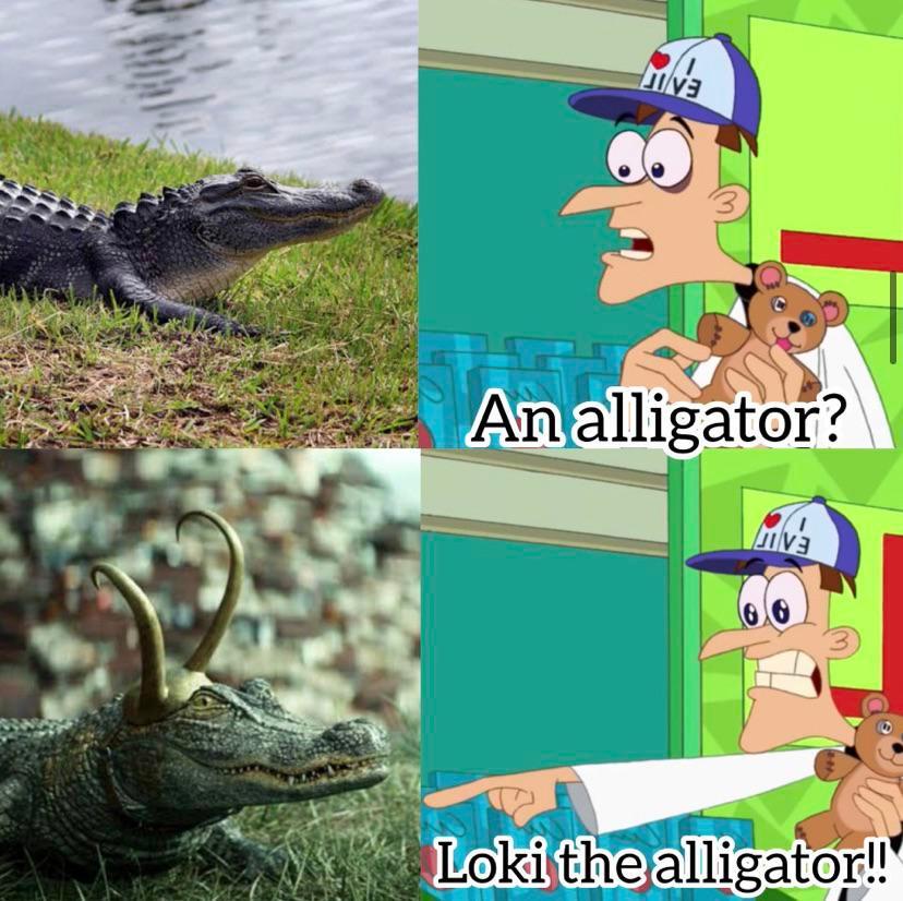 Loki the alligator says hi! | Scrolller