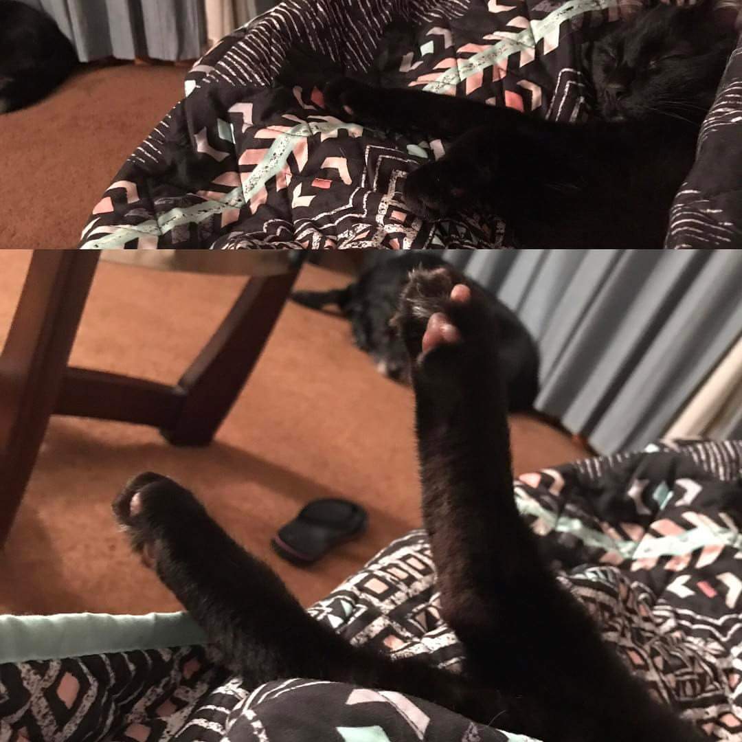 Long feetsies. | Scrolller