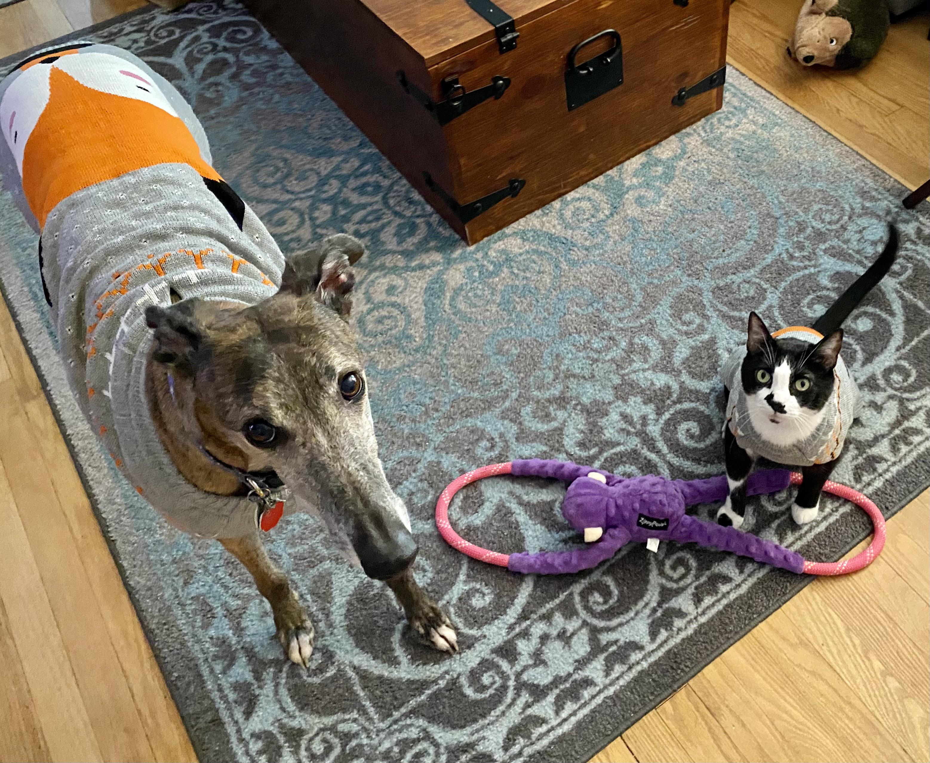 Long girl and her brother in matching sweaters. | Scrolller