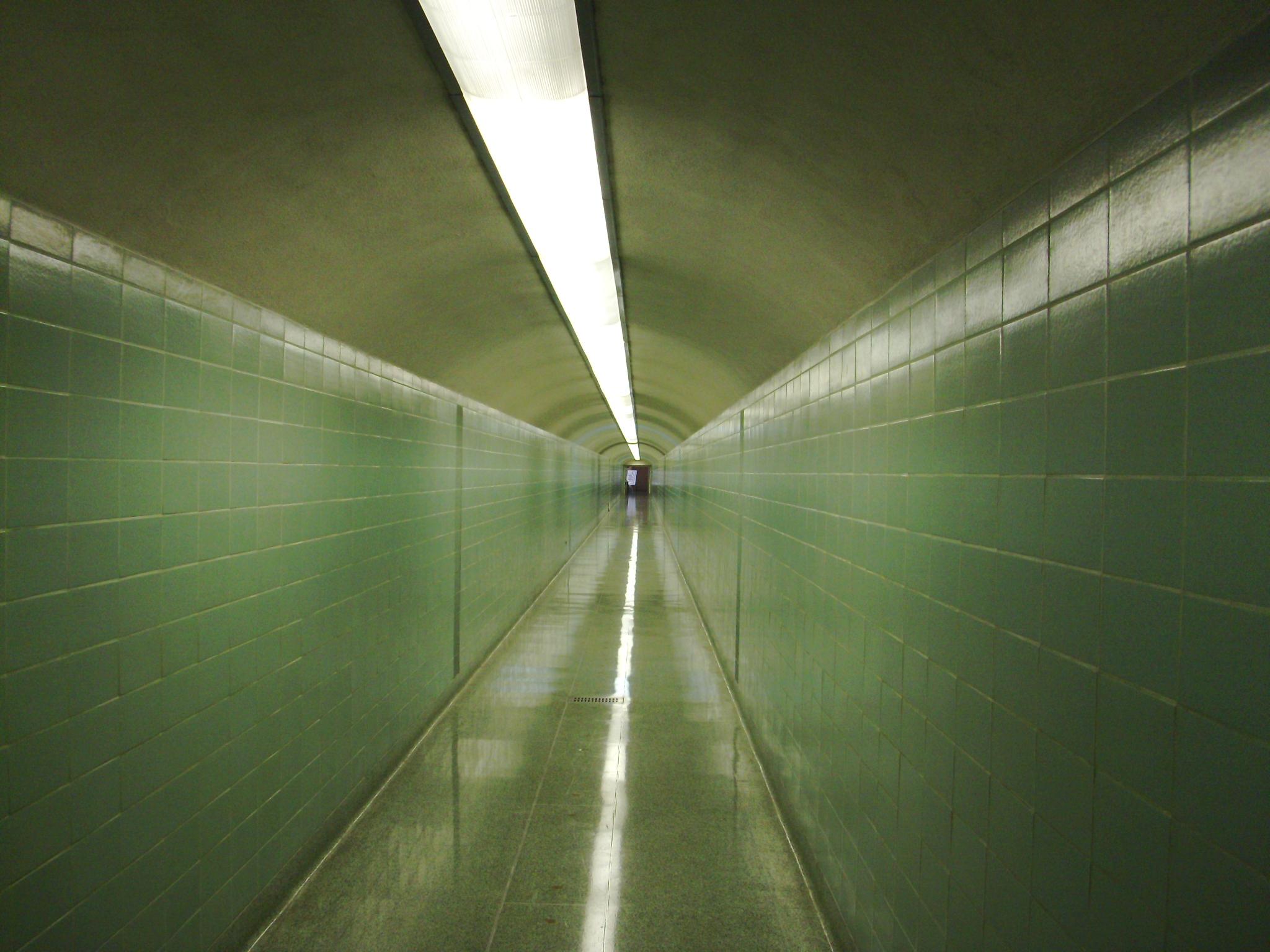 Long Hallway | Scrolller