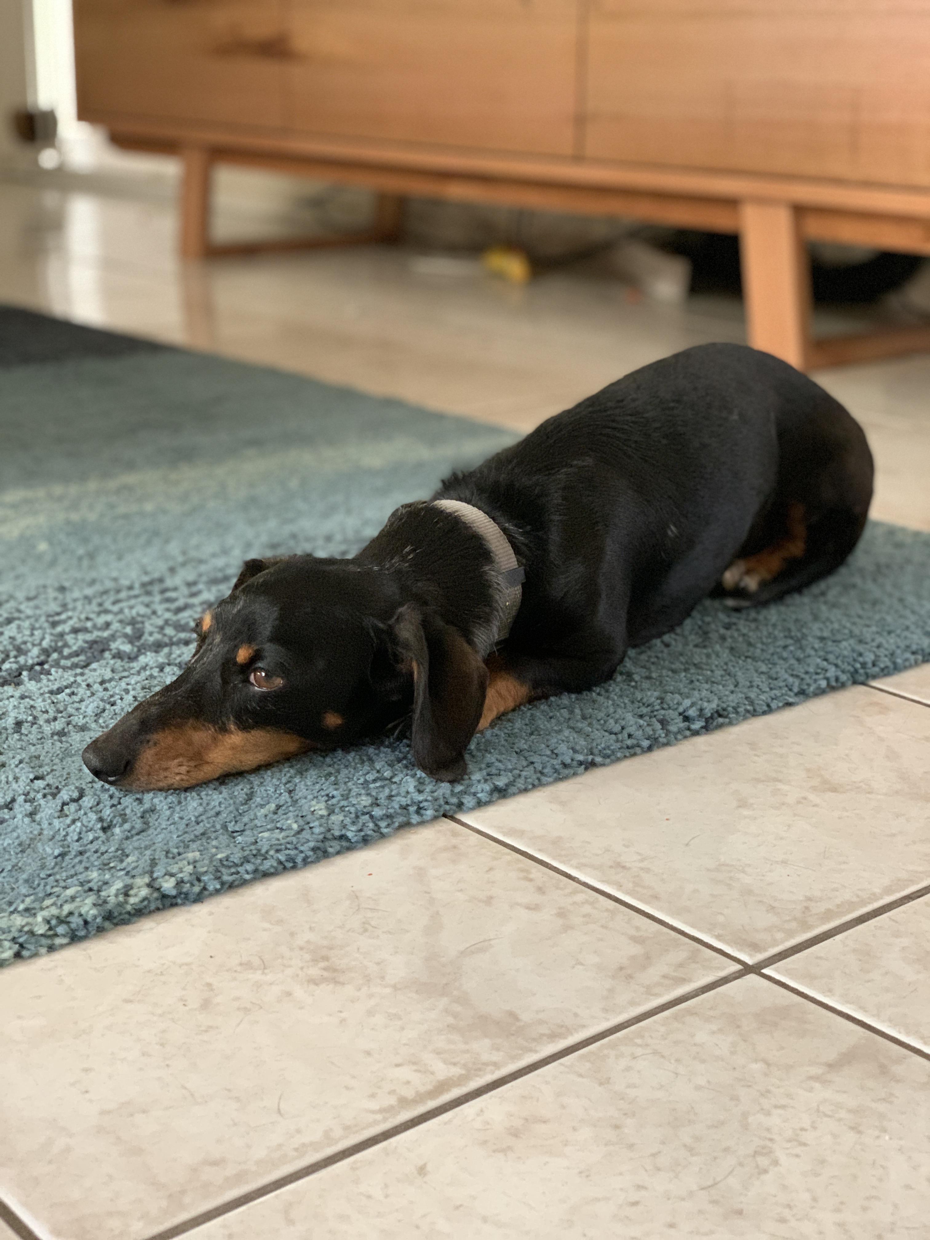 Long loaf | Scrolller