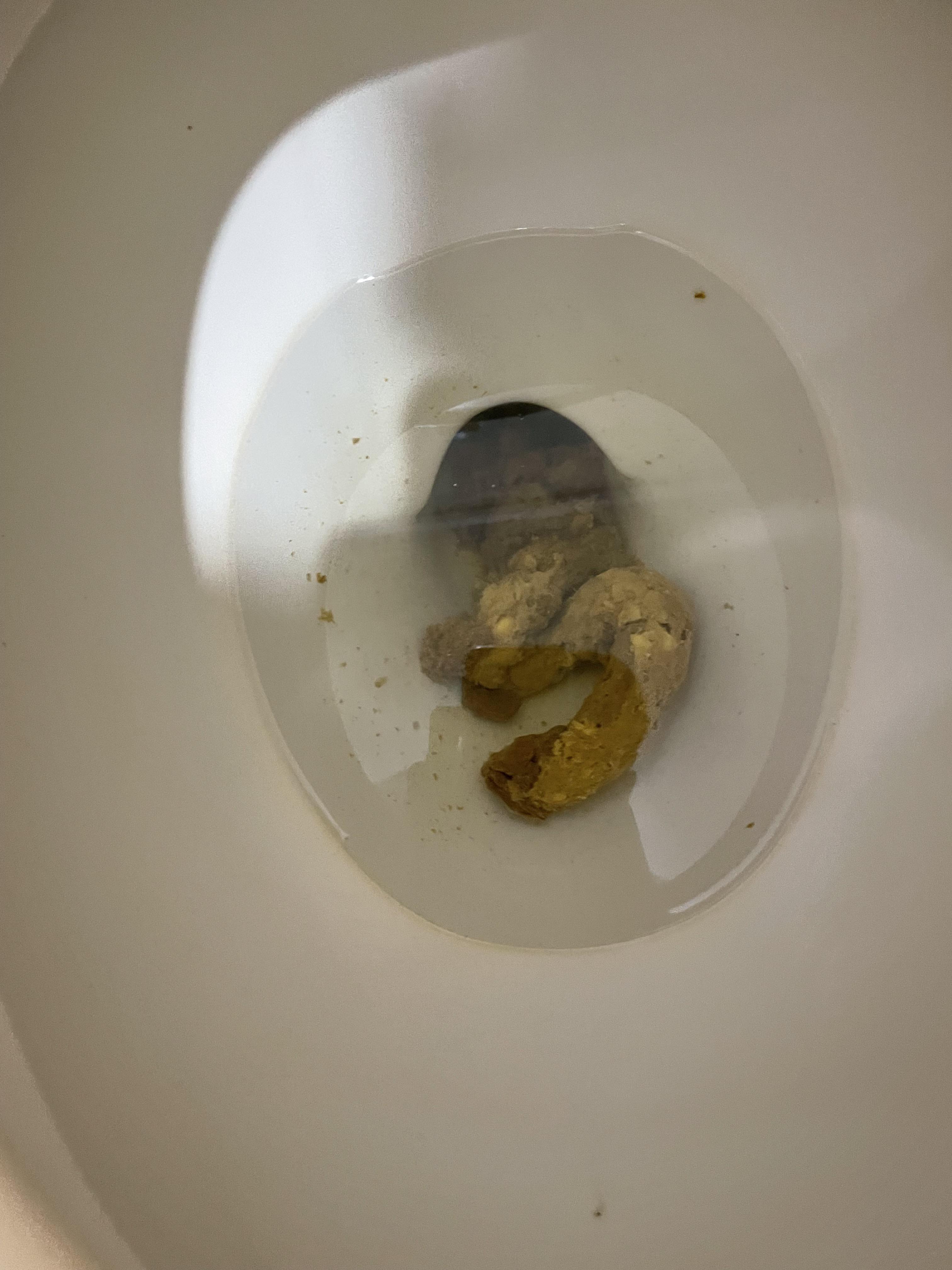 Long poop | Scrolller