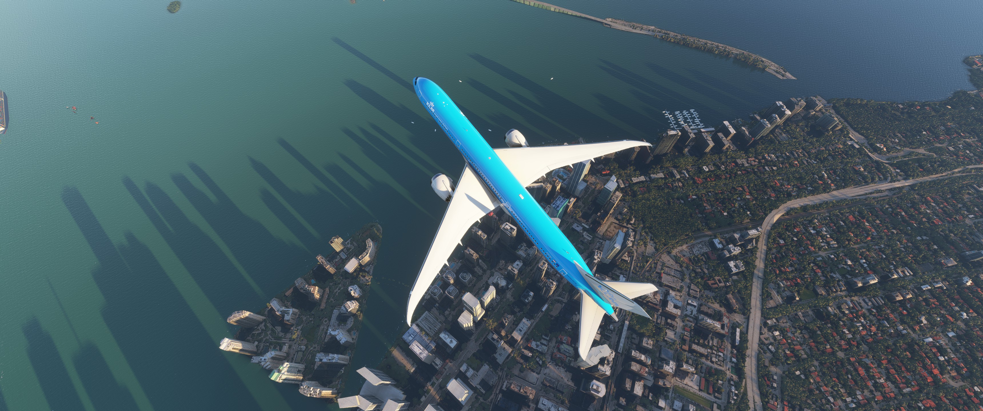 Long shadows | Scrolller