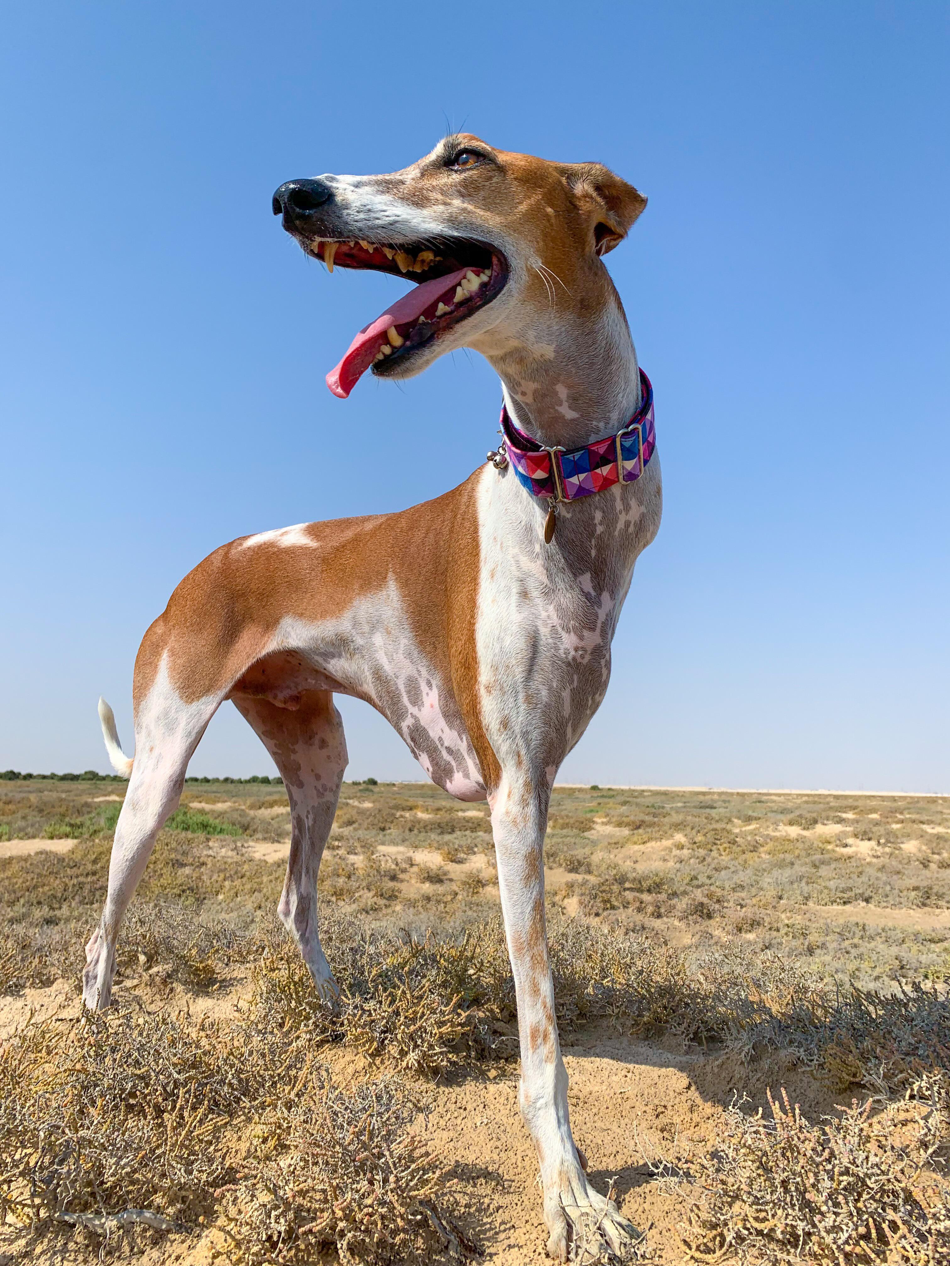 Longboye in his element | Scrolller