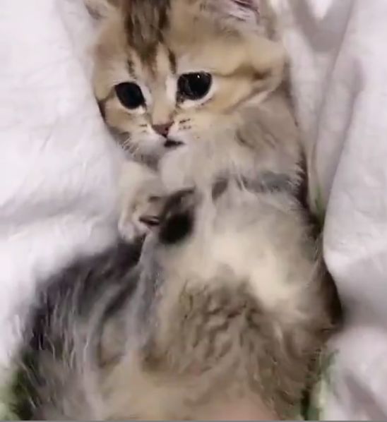 Look at that cute little guy | Scrolller