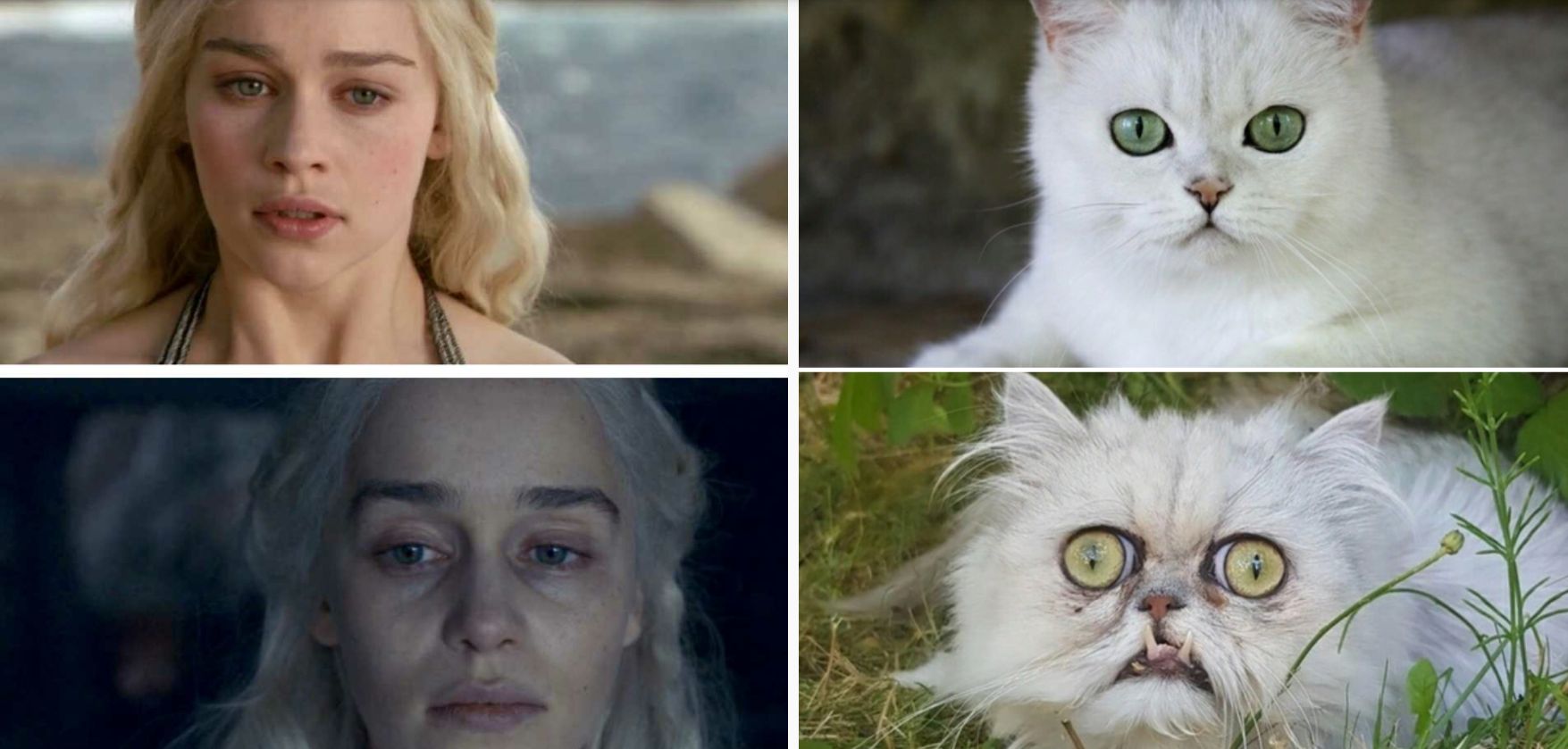 Look how they massacred my girl | Scrolller