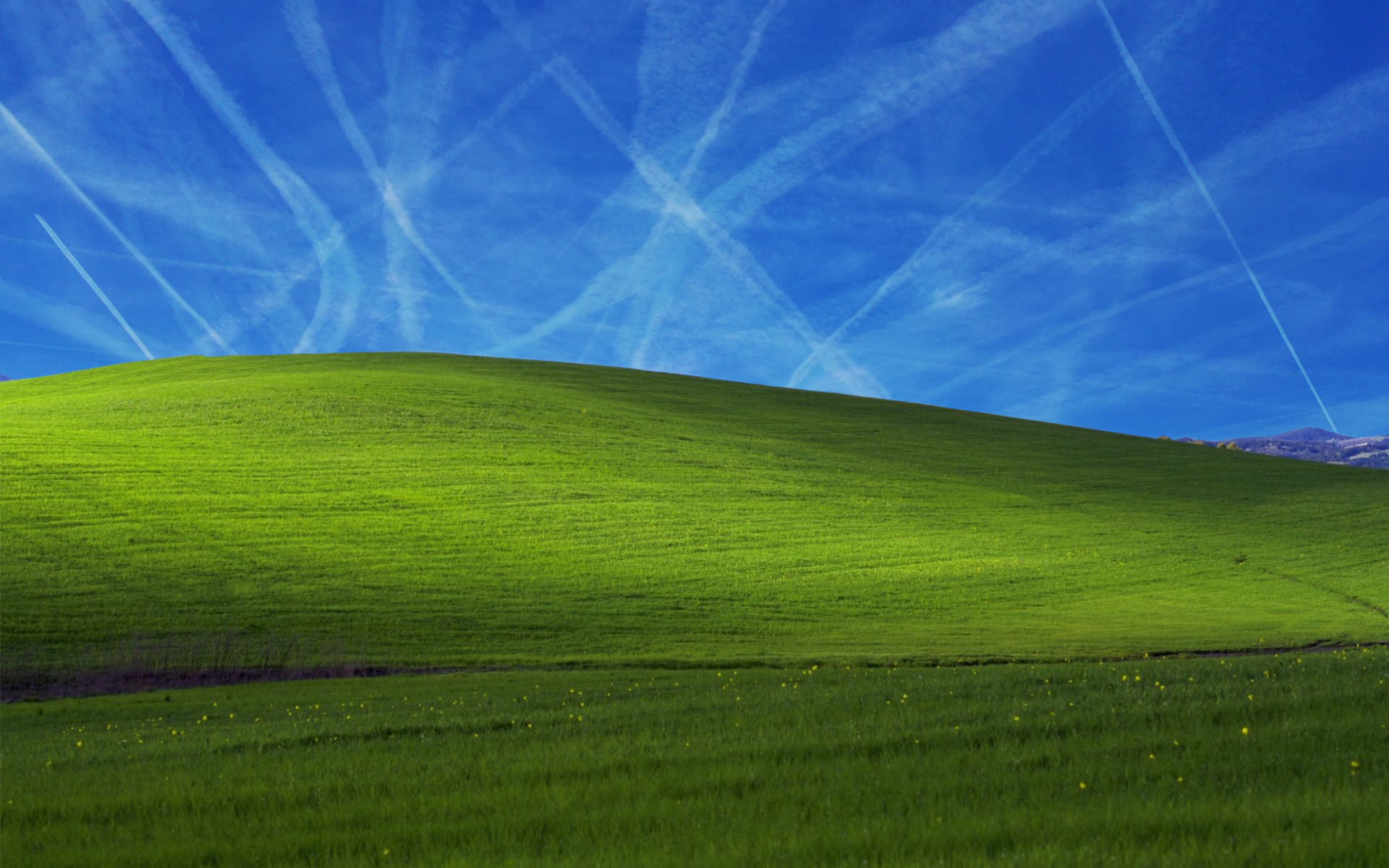 Look out your Windows | Scrolller