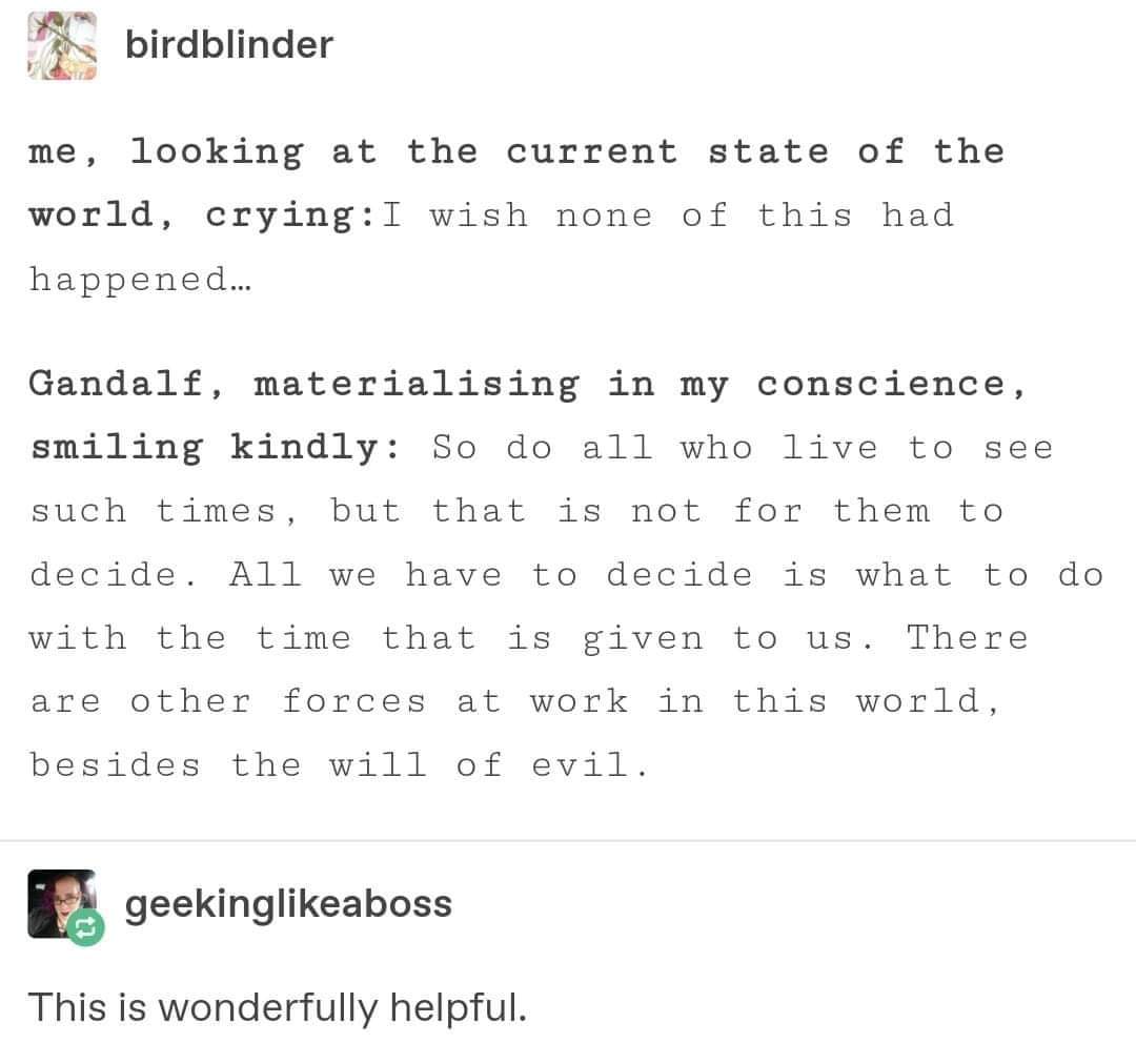 Look to the wise wizard | Scrolller