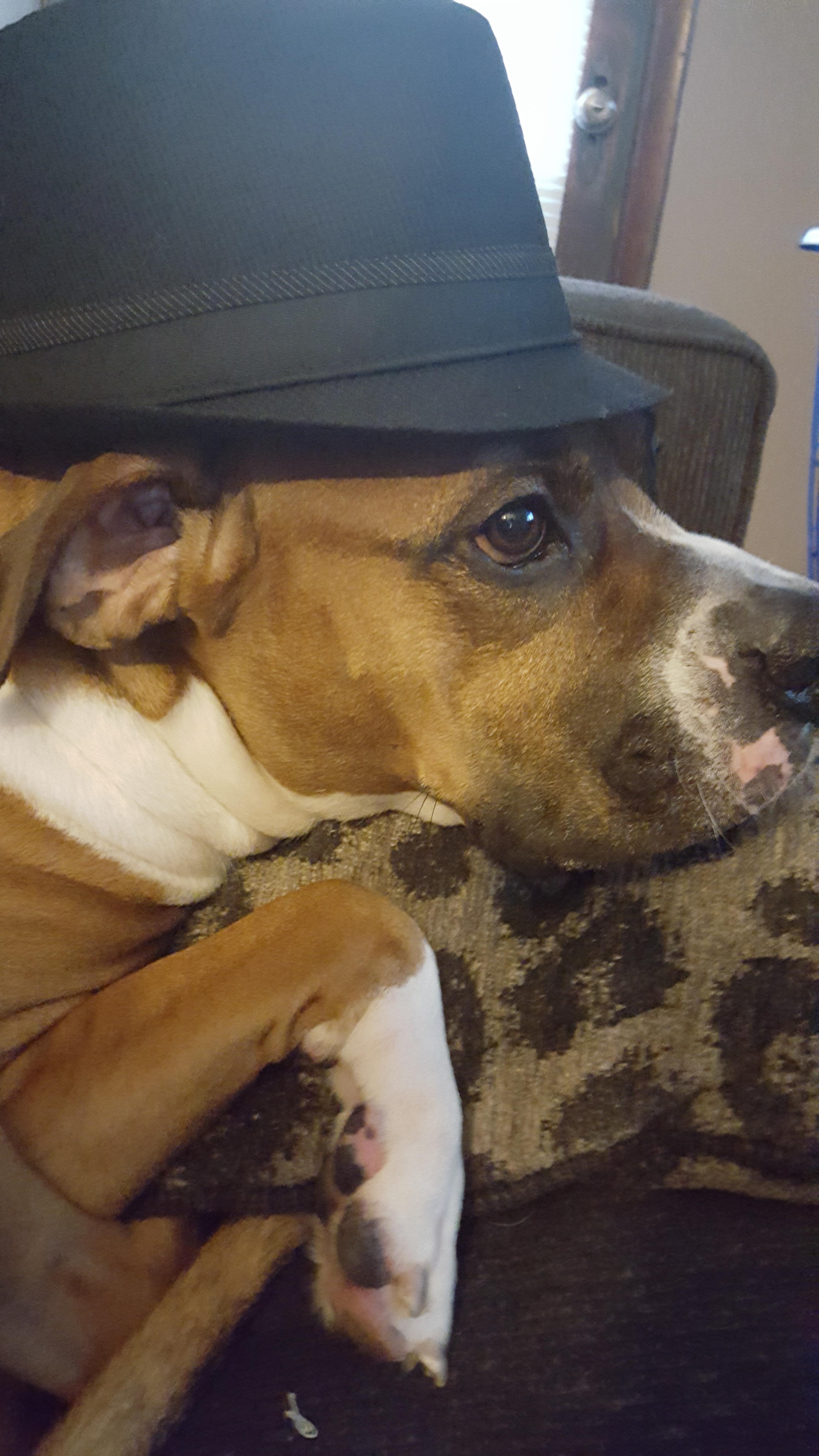 Looking dapper! | Scrolller