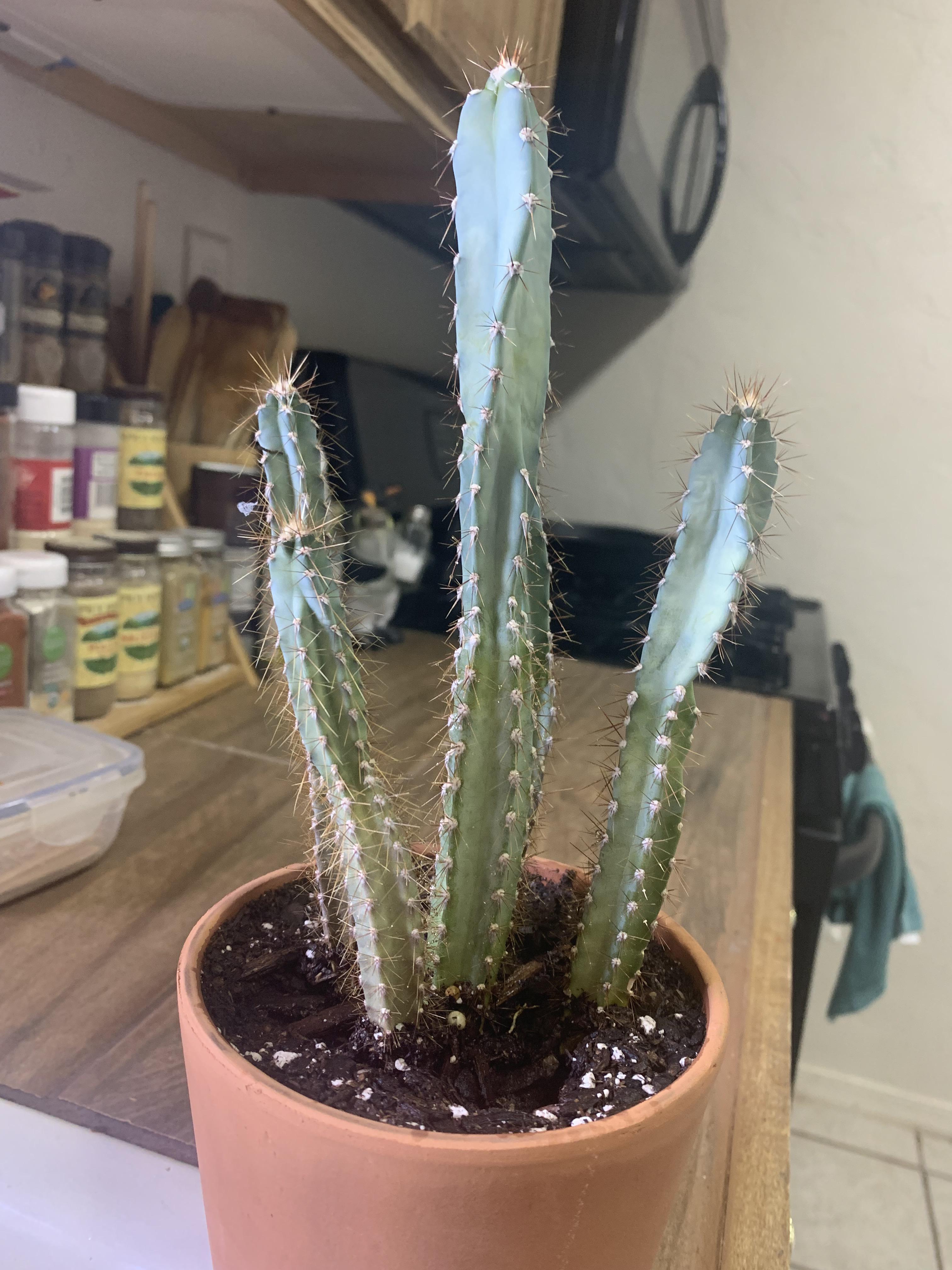 Looking for ID + advice (info in comments) | Scrolller