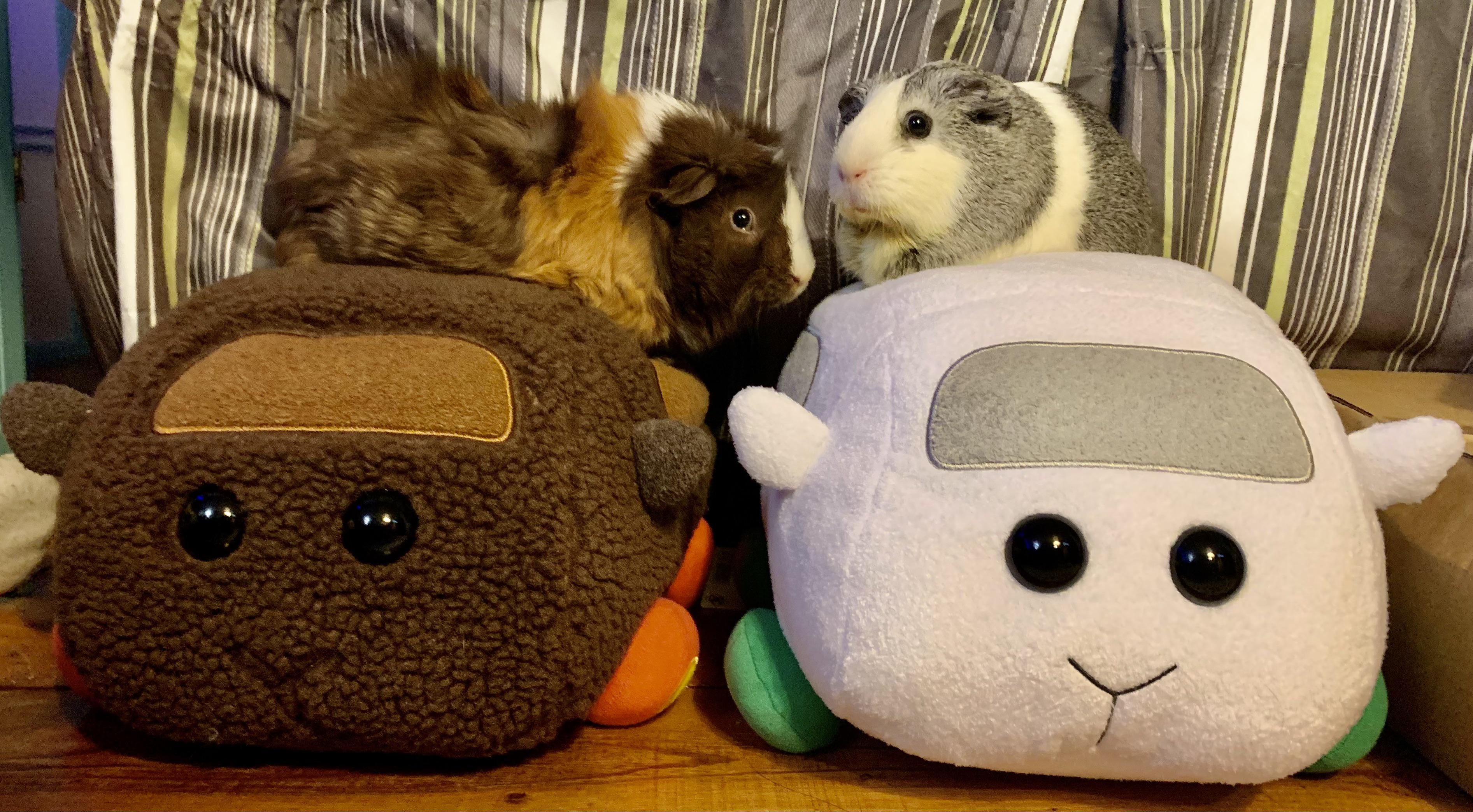 looks like the pui pui molcars didn’t want to cooperate 🤣 | Scrolller