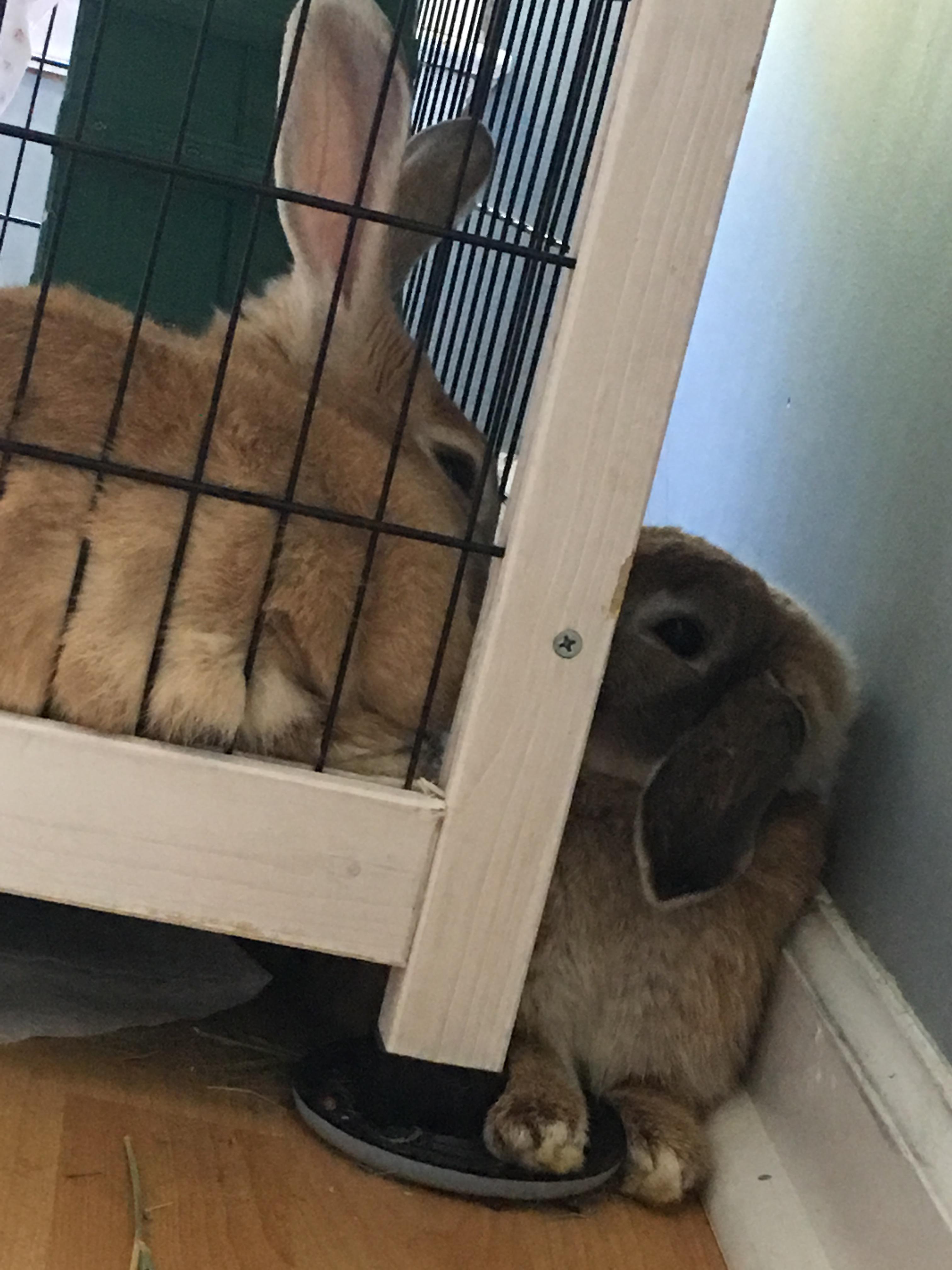 Love at first sight | Scrolller