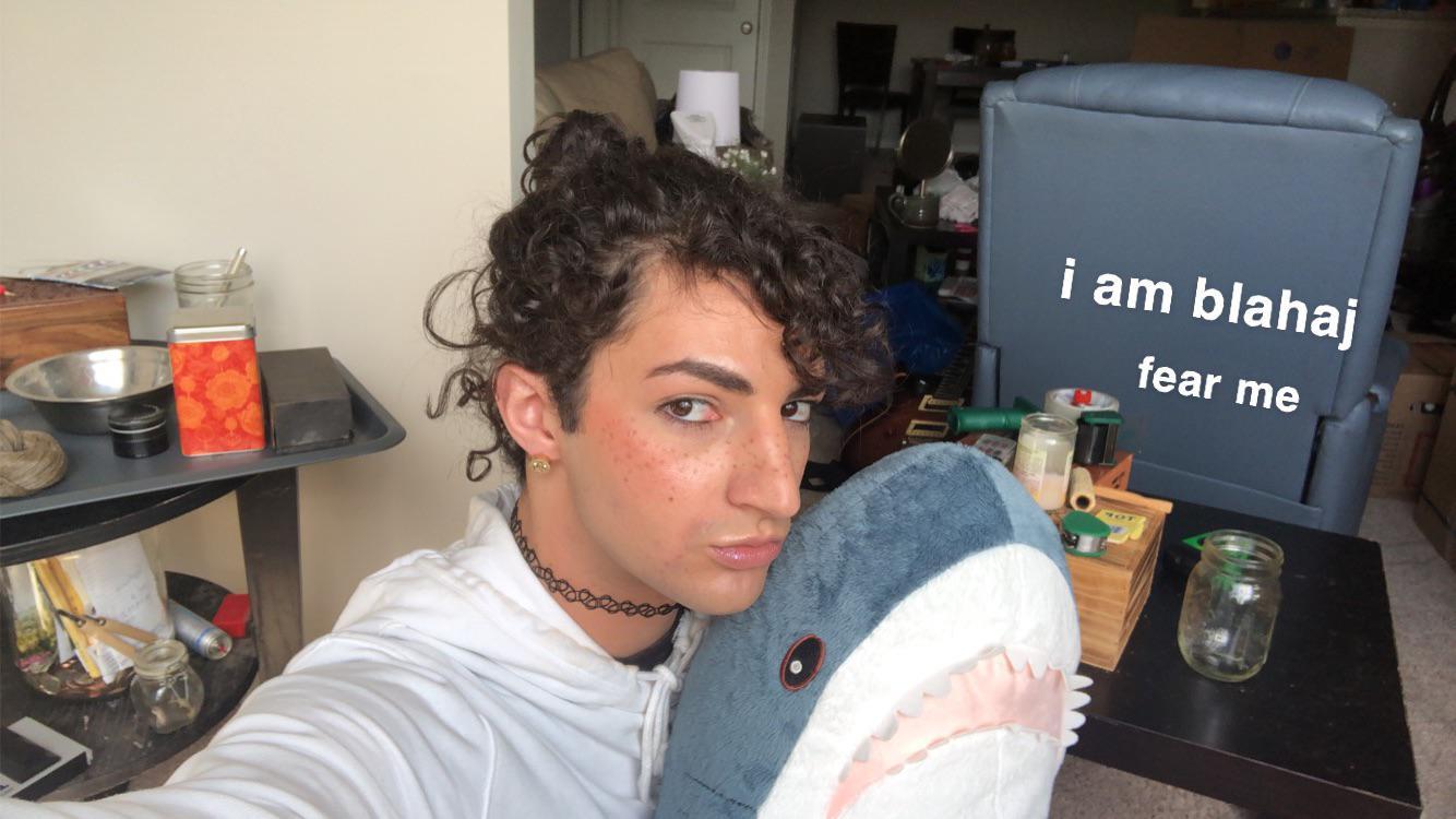 Love Blahaj ️ | Scrolller