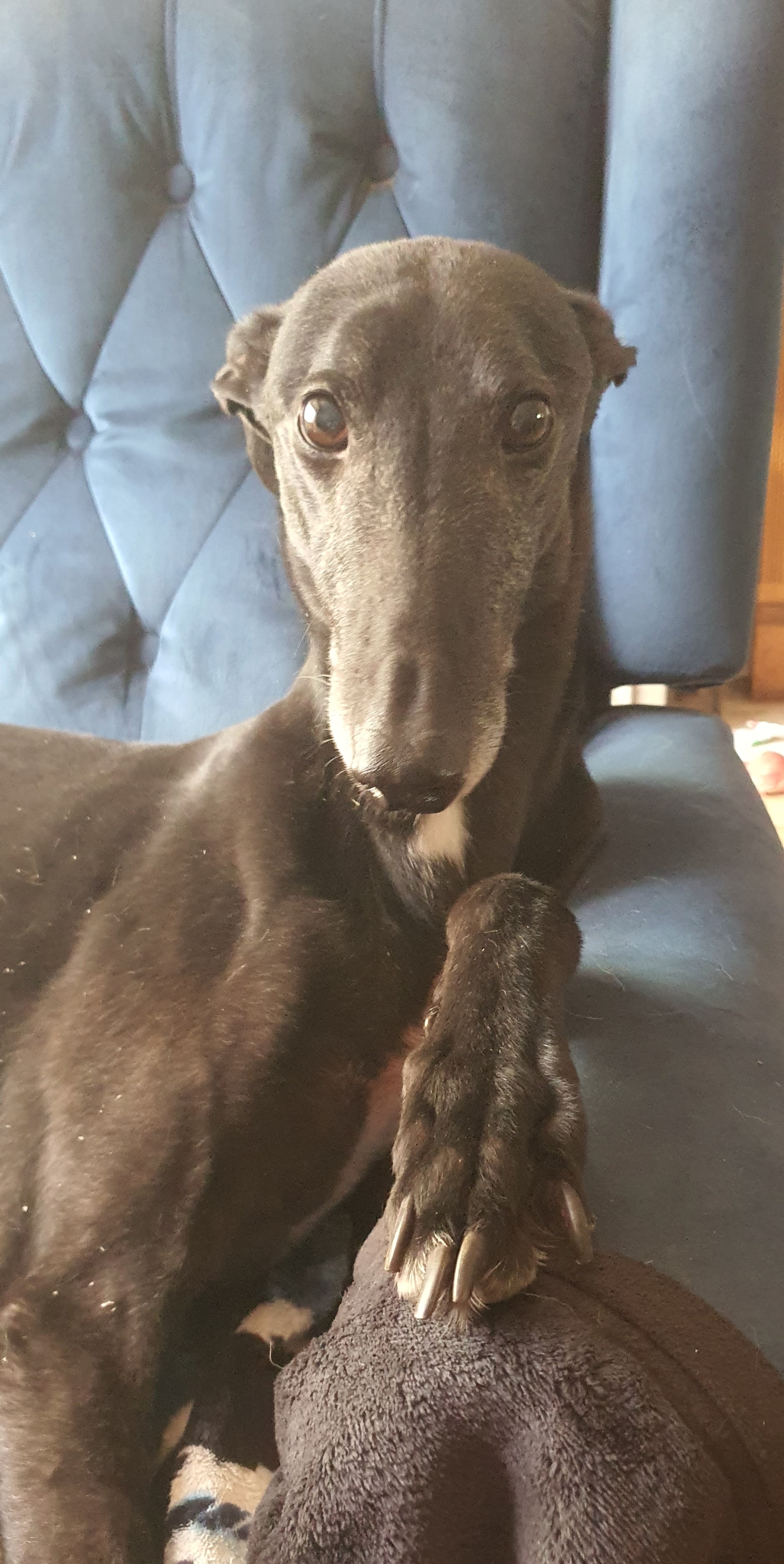 Lovely pose from Charles. A very distinguished gentleman | Scrolller