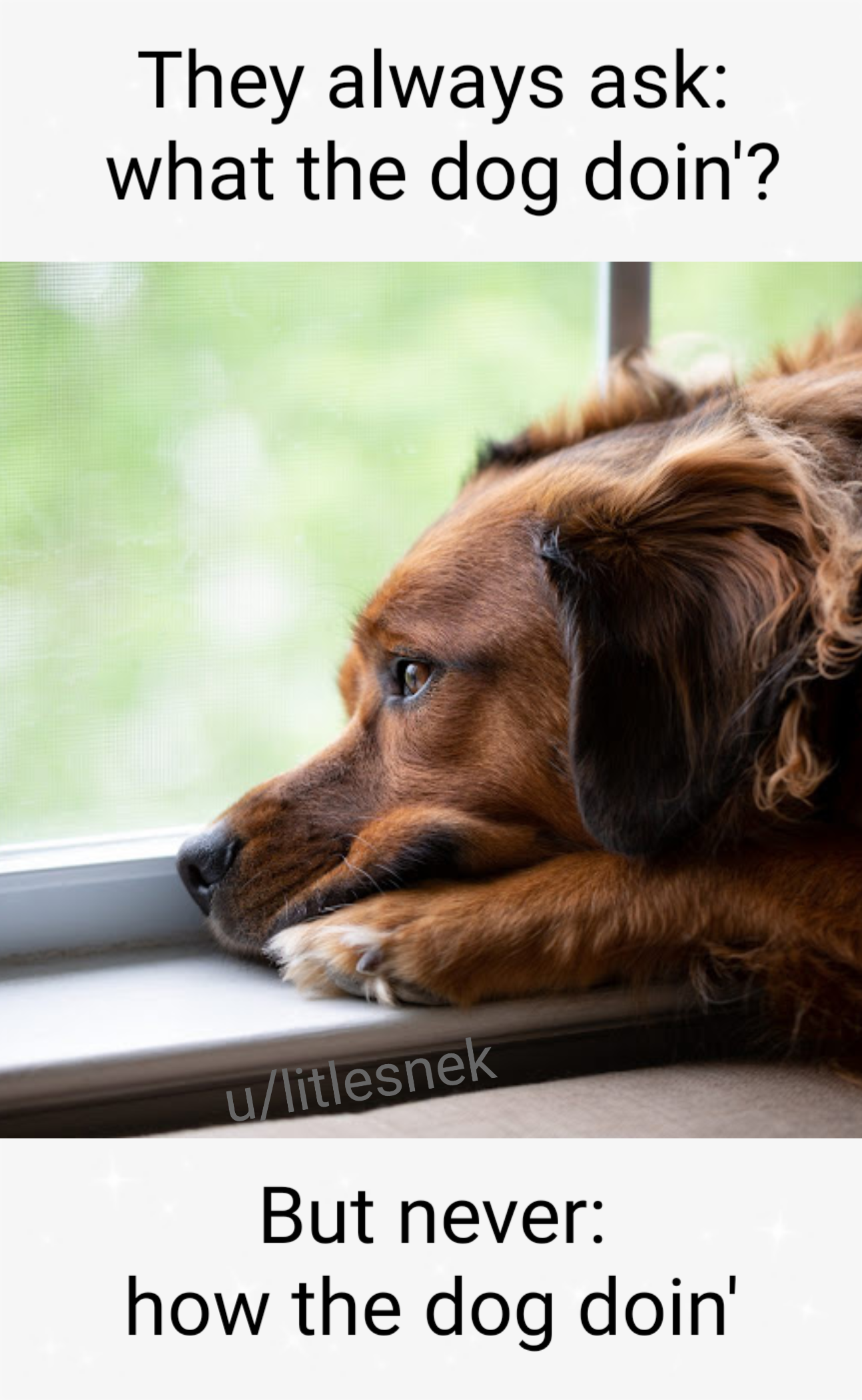 Low effort oc factory :) | Scrolller