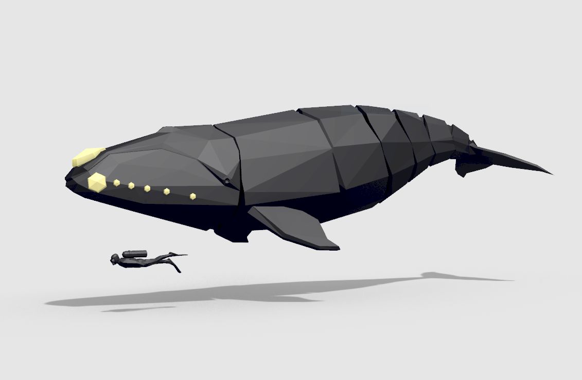 Low-poly posable Right Whale + diver | Scrolller