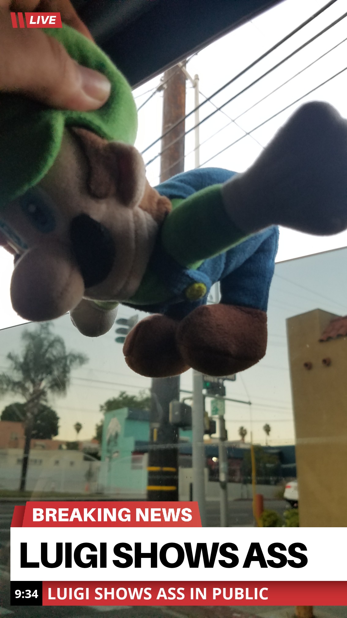 Luigi_irl | Scrolller