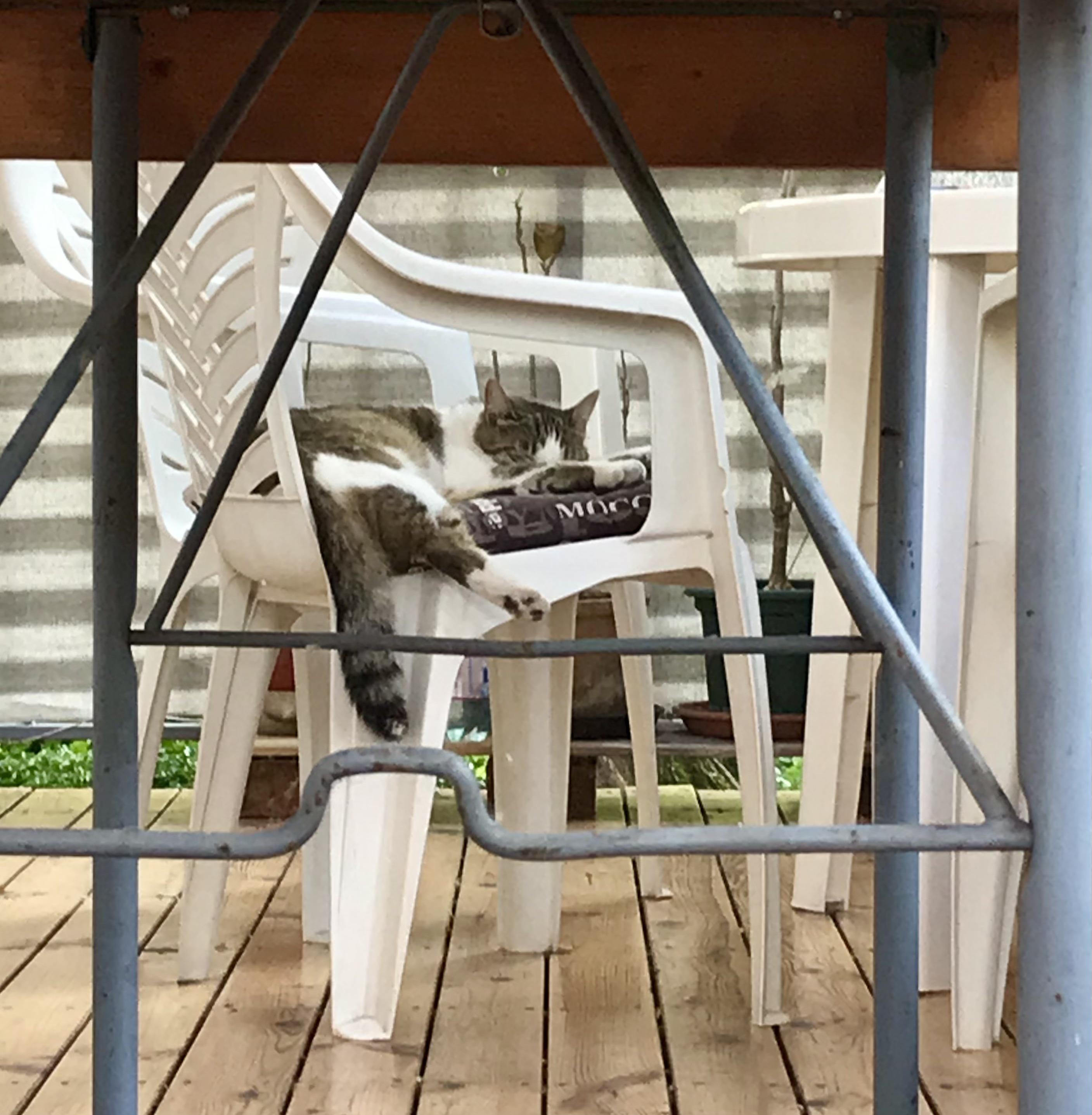 Lujza sleep | Scrolller