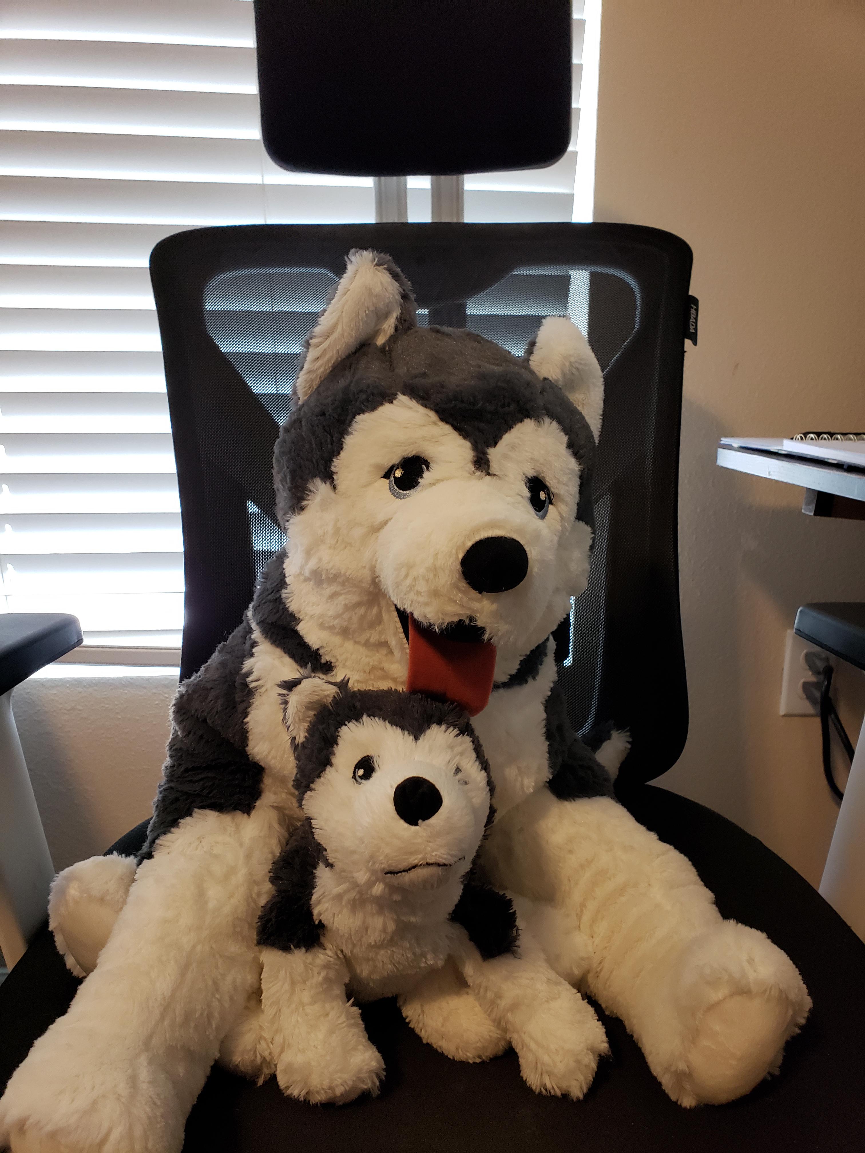 Luna and Milo! | Scrolller