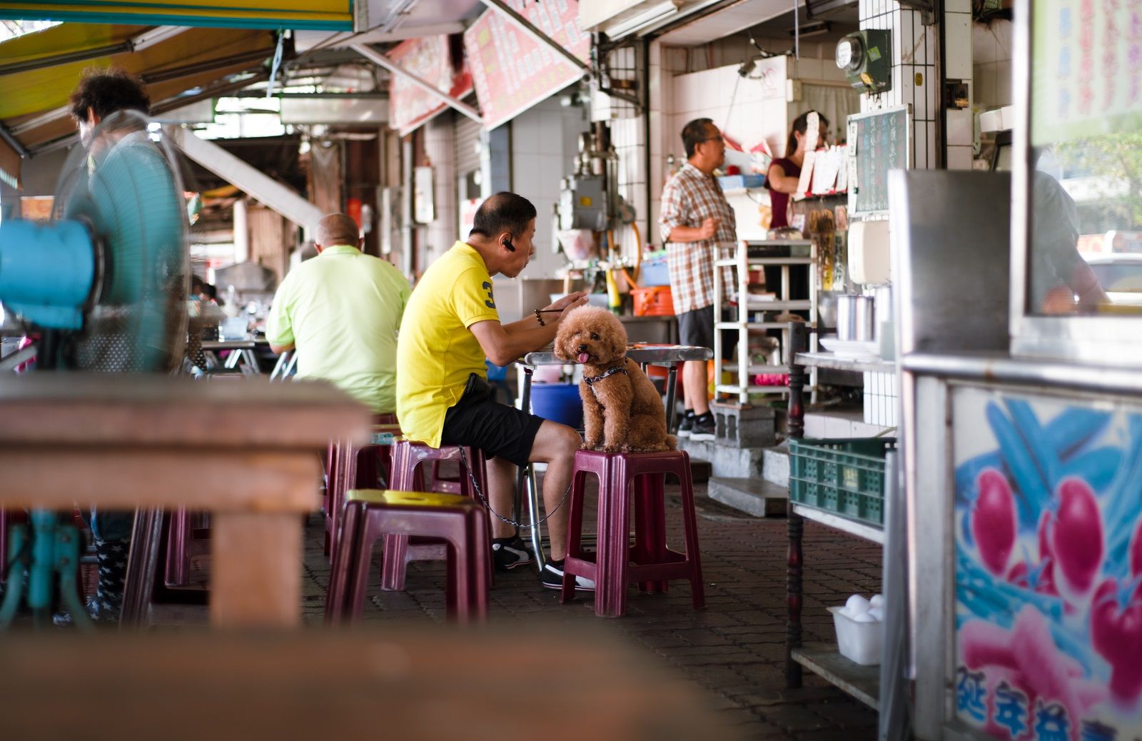 Lunch With Dog [OC][1600x1038] | Scrolller