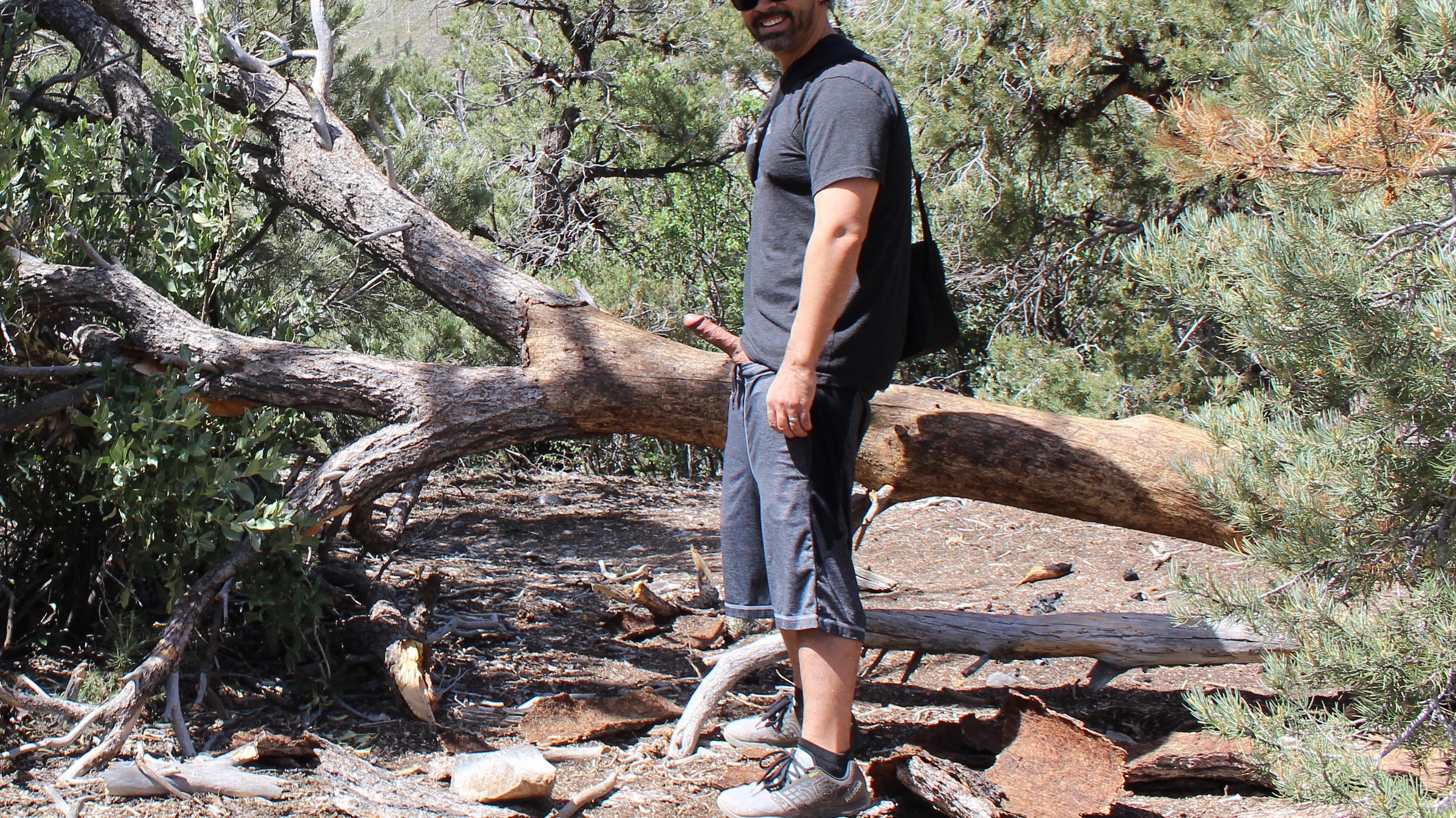 [M] hard to compete with a tree. | Scrolller