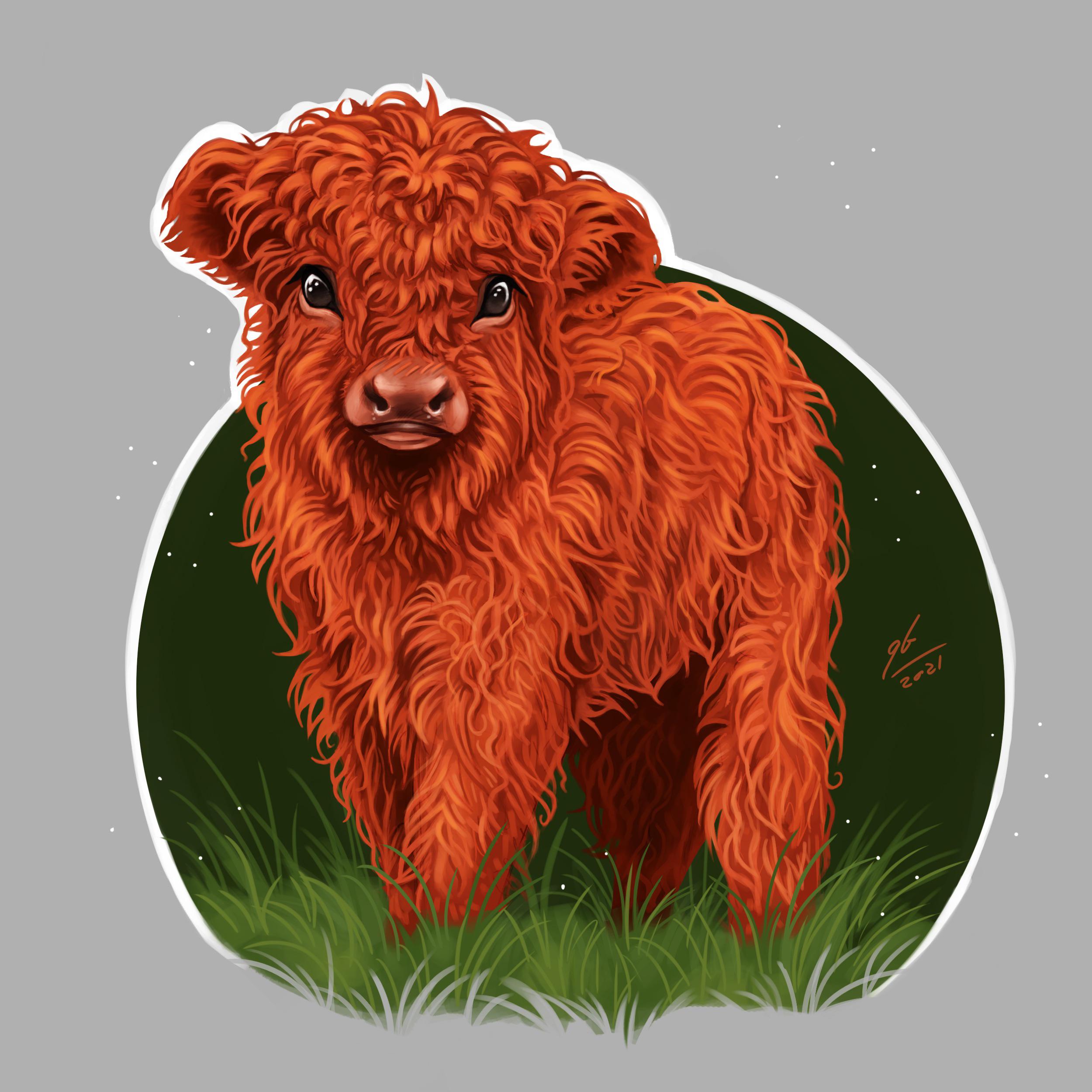 Mabel (OC) my adorable highlander | Scrolller