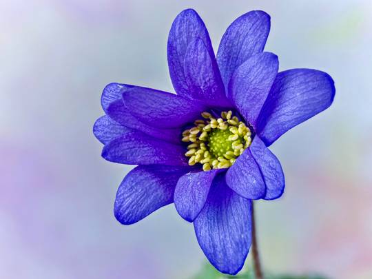 Macro world | Scrolller