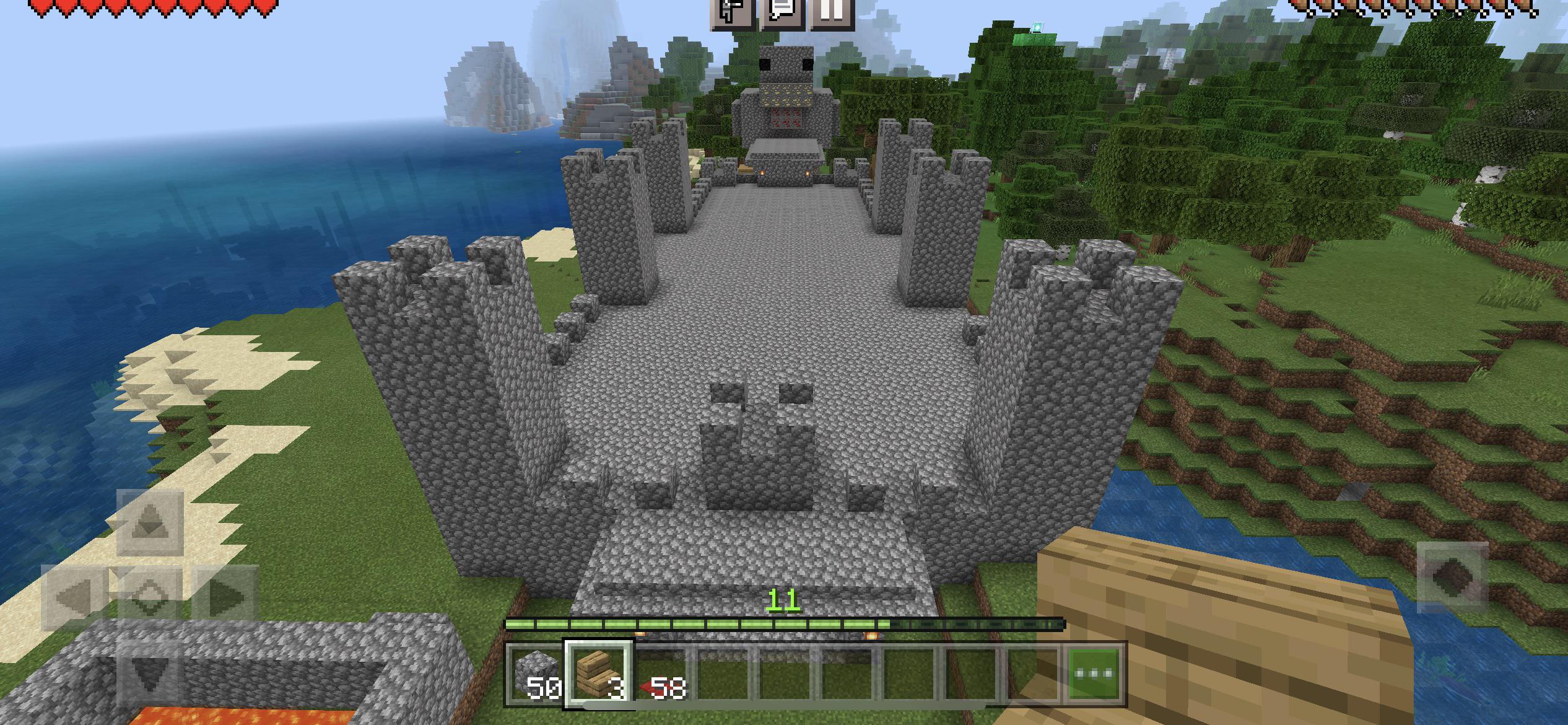 Made a castle for Feigi the chicken | Scrolller