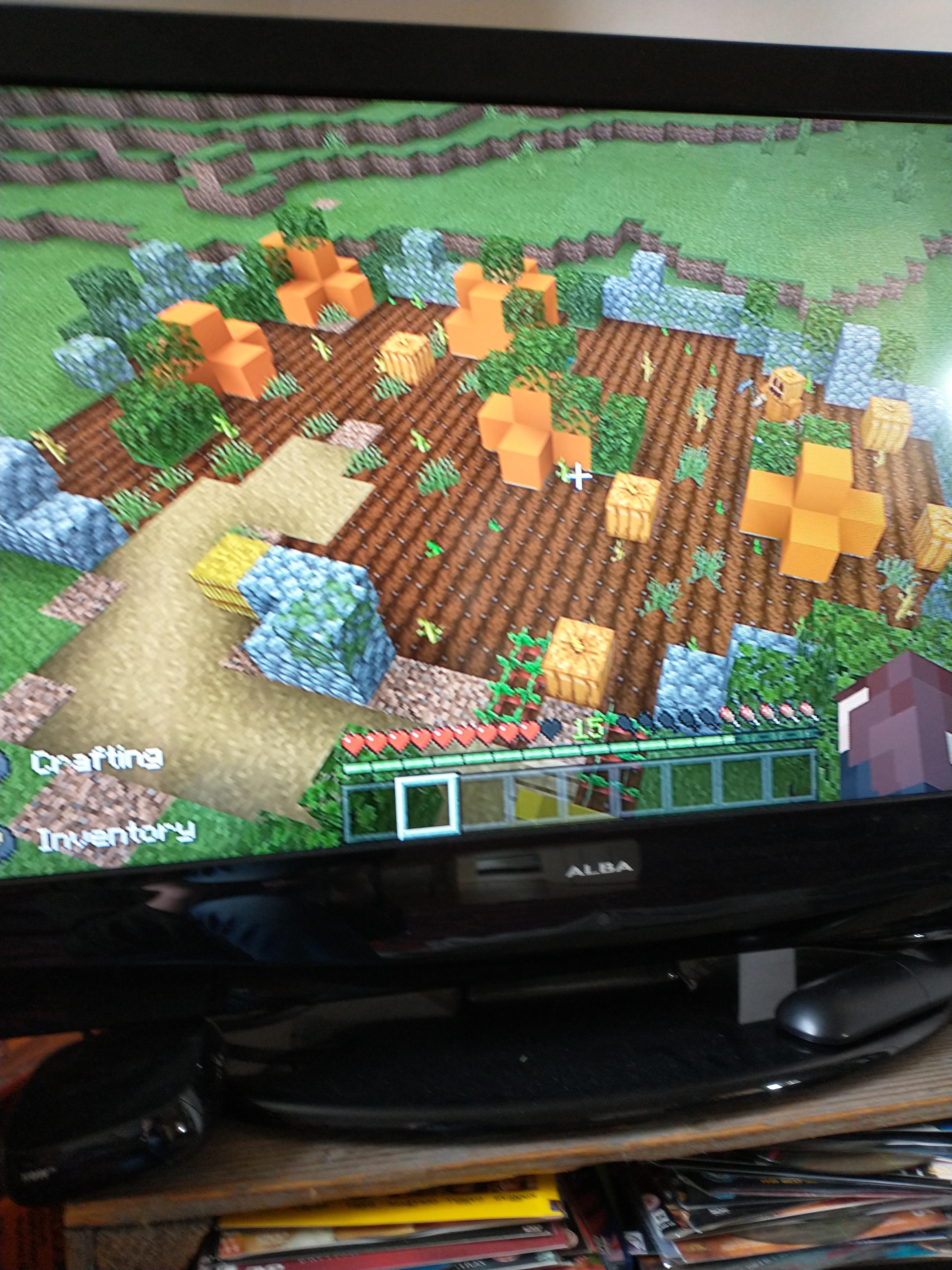 Made a giant pumpkin patch! | Scrolller