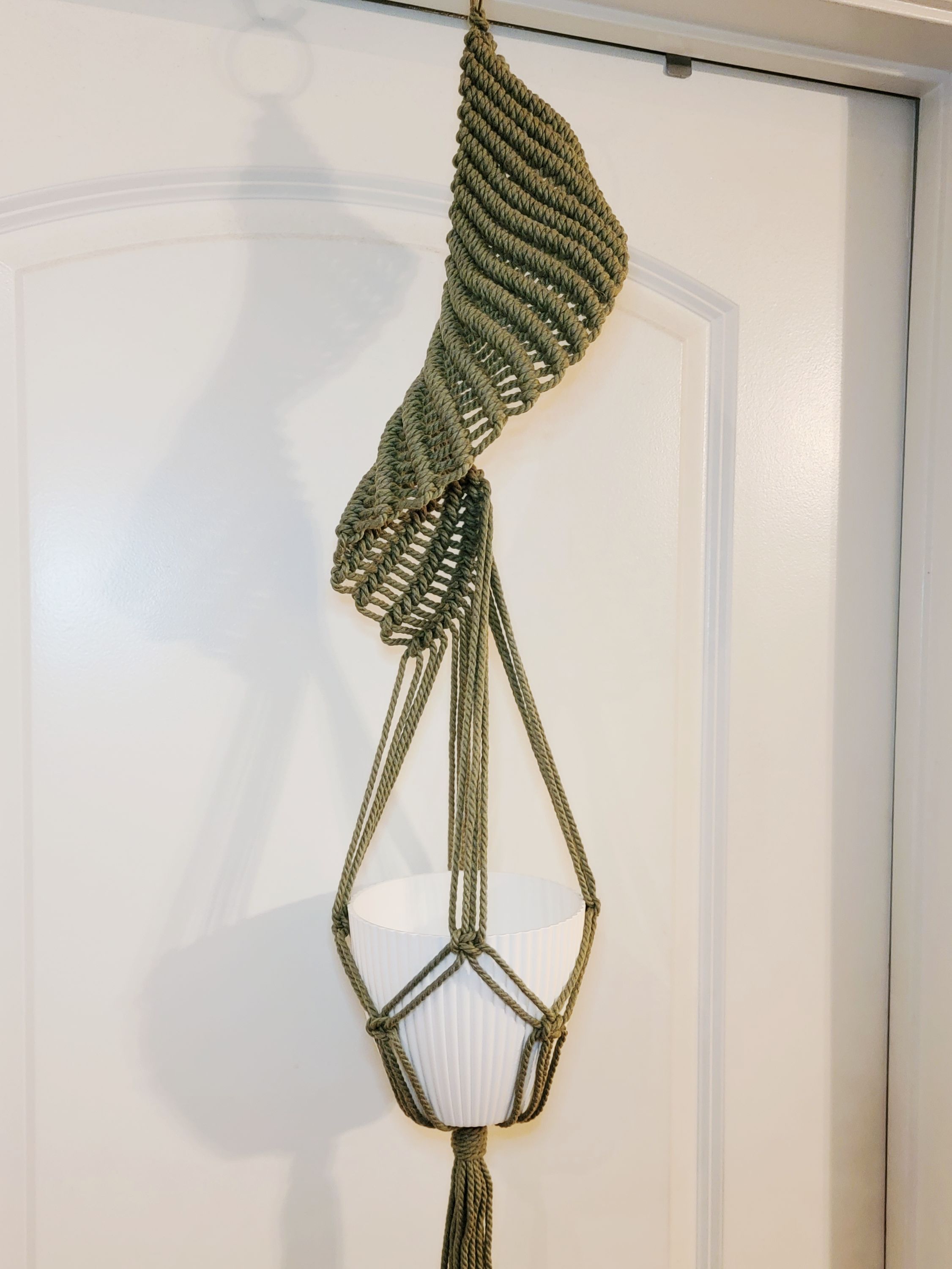 Made my first spiral plant hanger! | Scrolller
