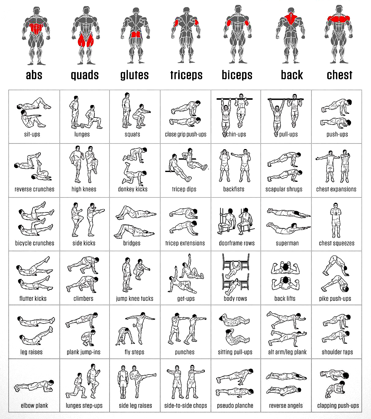 Homefitness | Pictures | Scrolller