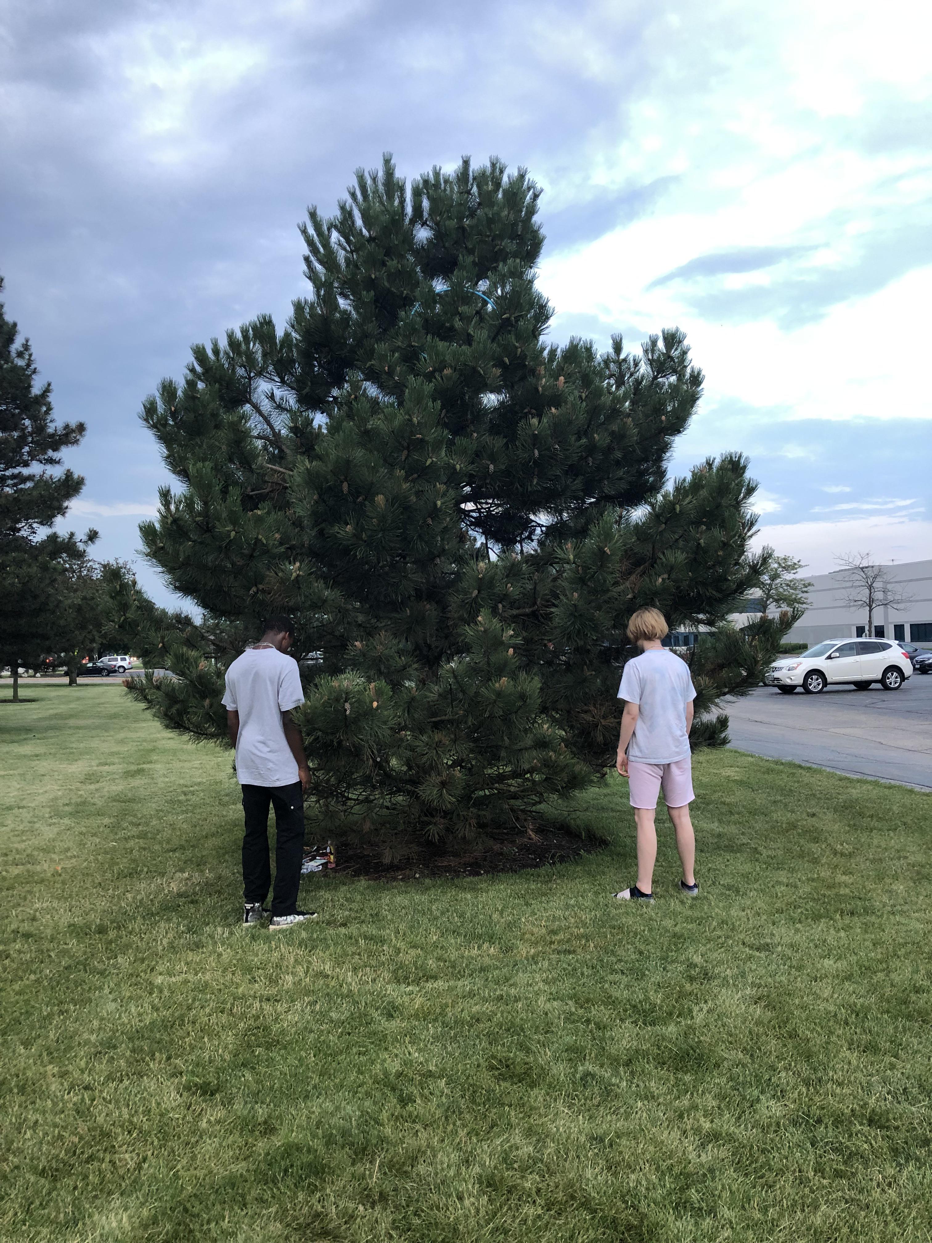 Made the pilgrimage | Scrolller