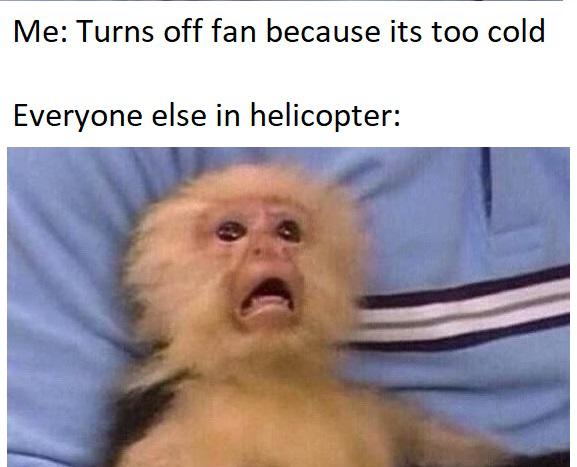 made using ms paint | Scrolller