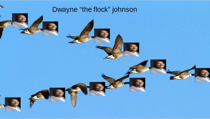 made with google slides. | Scrolller