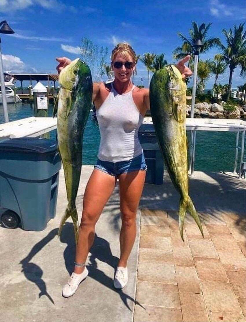 Mahi Mahi For Dinner | Scrolller