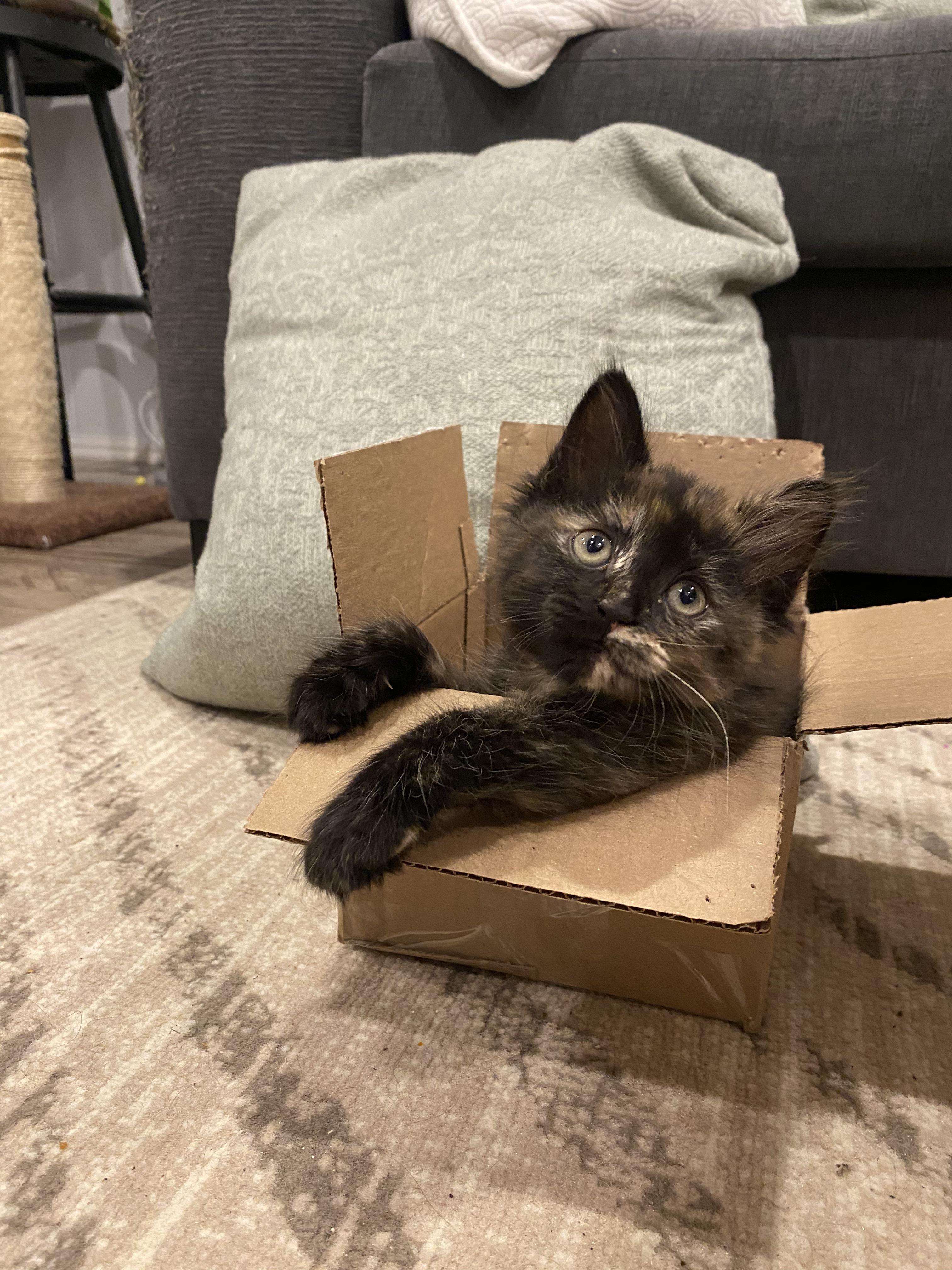 Mail order Marble | Scrolller