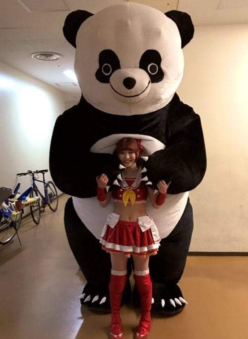 Maki with Andre the Giant Panda | Scrolller