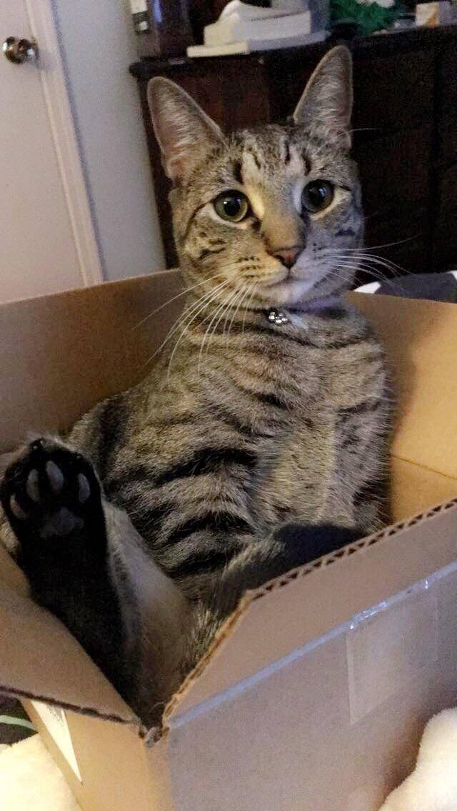 Making herself comfortable 😆 | Scrolller