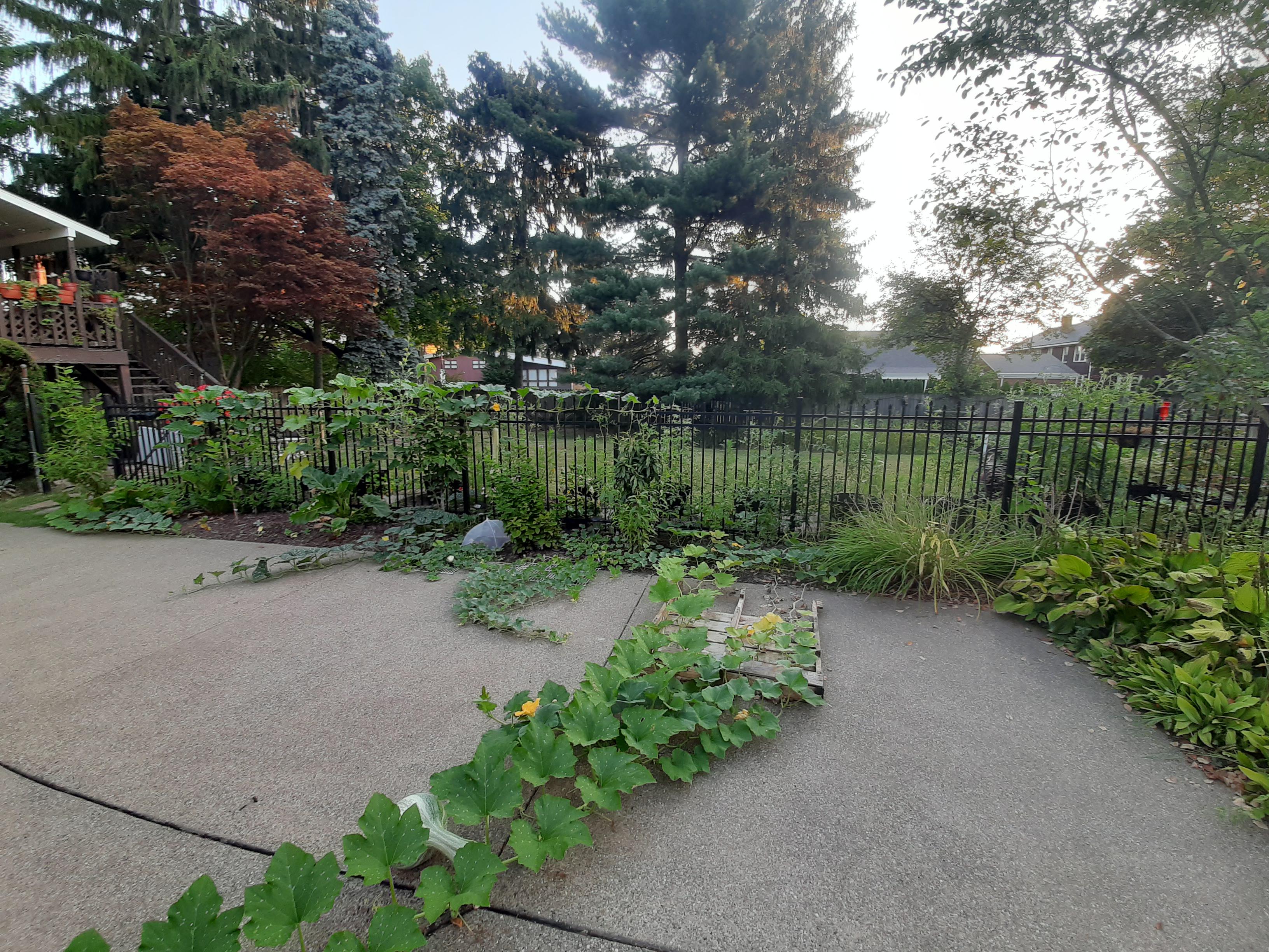 Making use of the driveway | Scrolller