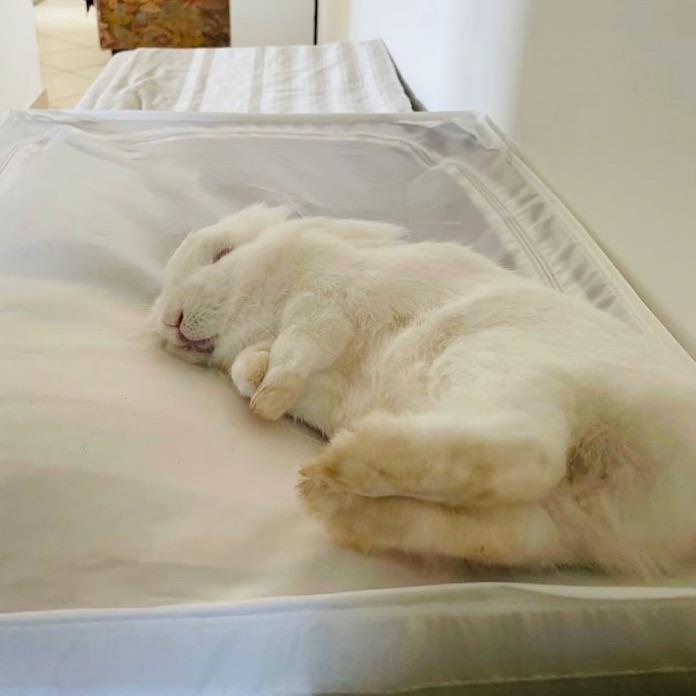 Mama Let Me Sleep Scrolller